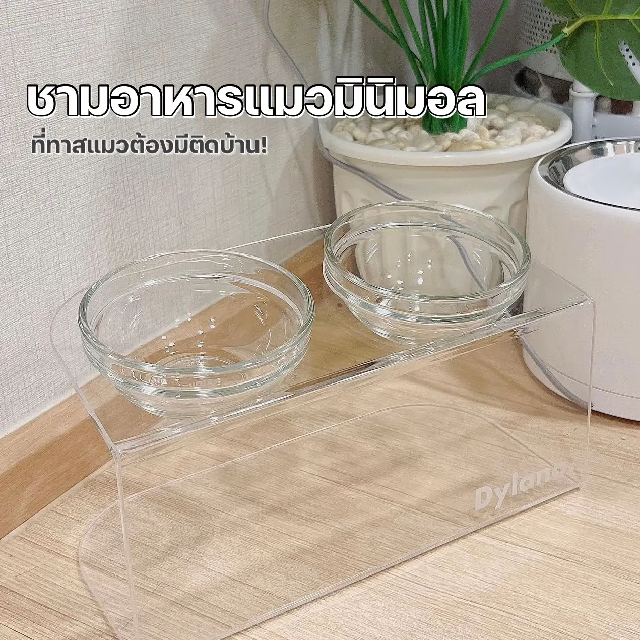 รีวิวชามอาหารยกสูงแบบใส Dylano | แกลเลอรีที่โพสต์โดย มังคุดมนุษย์แมว ...