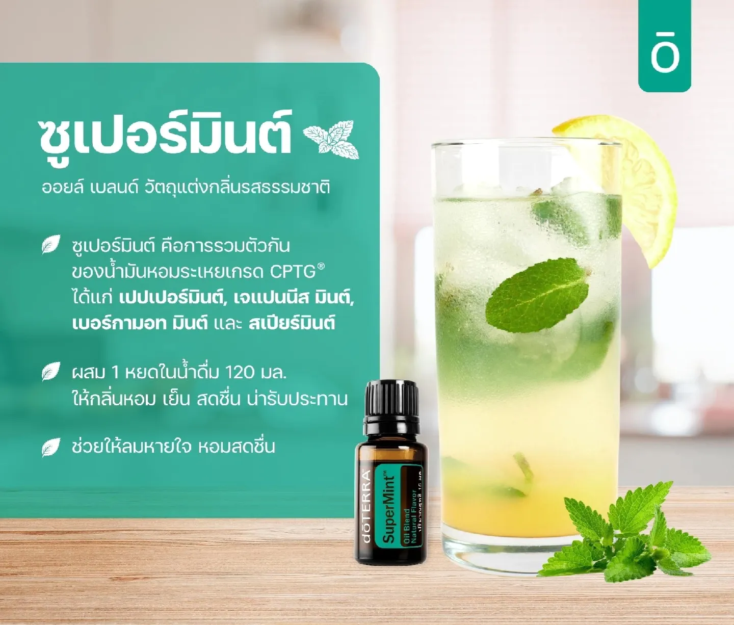 🌿 SuperMint น้ำมันมิ้นต์4สายพันธุ์เข้มข้น 🥶 | แกลเลอรีที่โพสต์โดย Pinto von Siam | Lemon8
