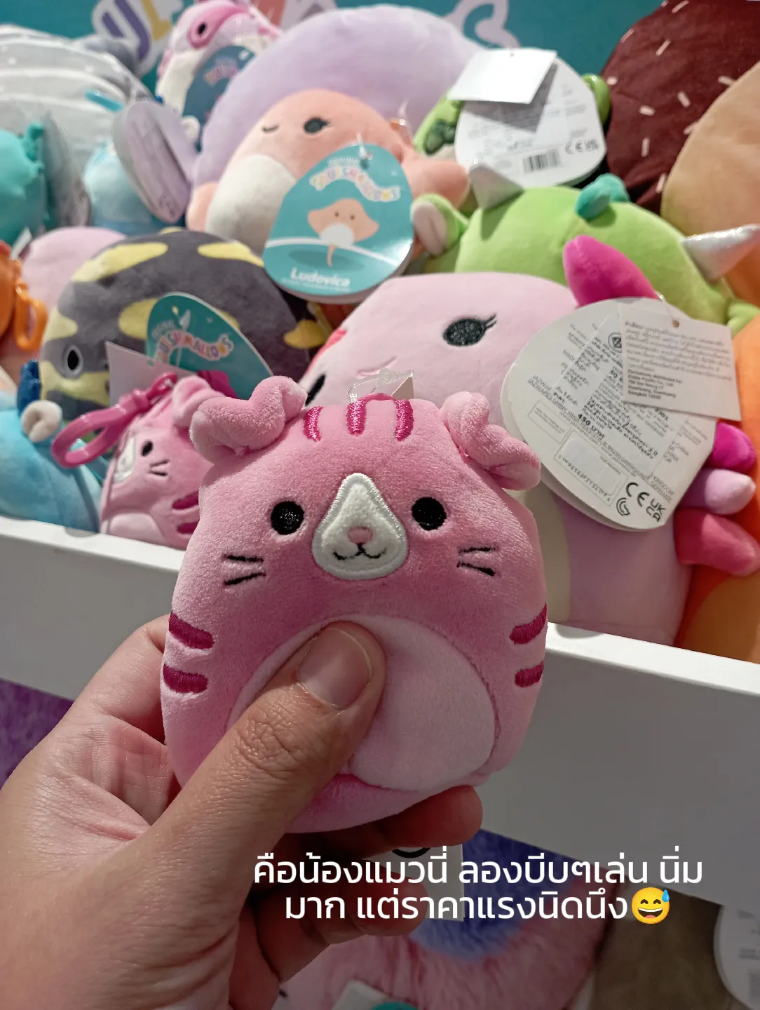 Betrend เดอะมอลล์บางกะปิ หลังรีโนเวท | แกลเลอรีที่โพสต์โดย Pangko | Lemon8