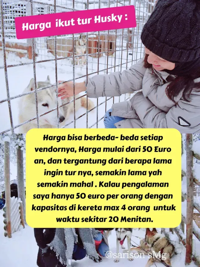 Tips wisata musim salju di Rovaniemi, Finlandia🐕‍ | Galeri diposting ...