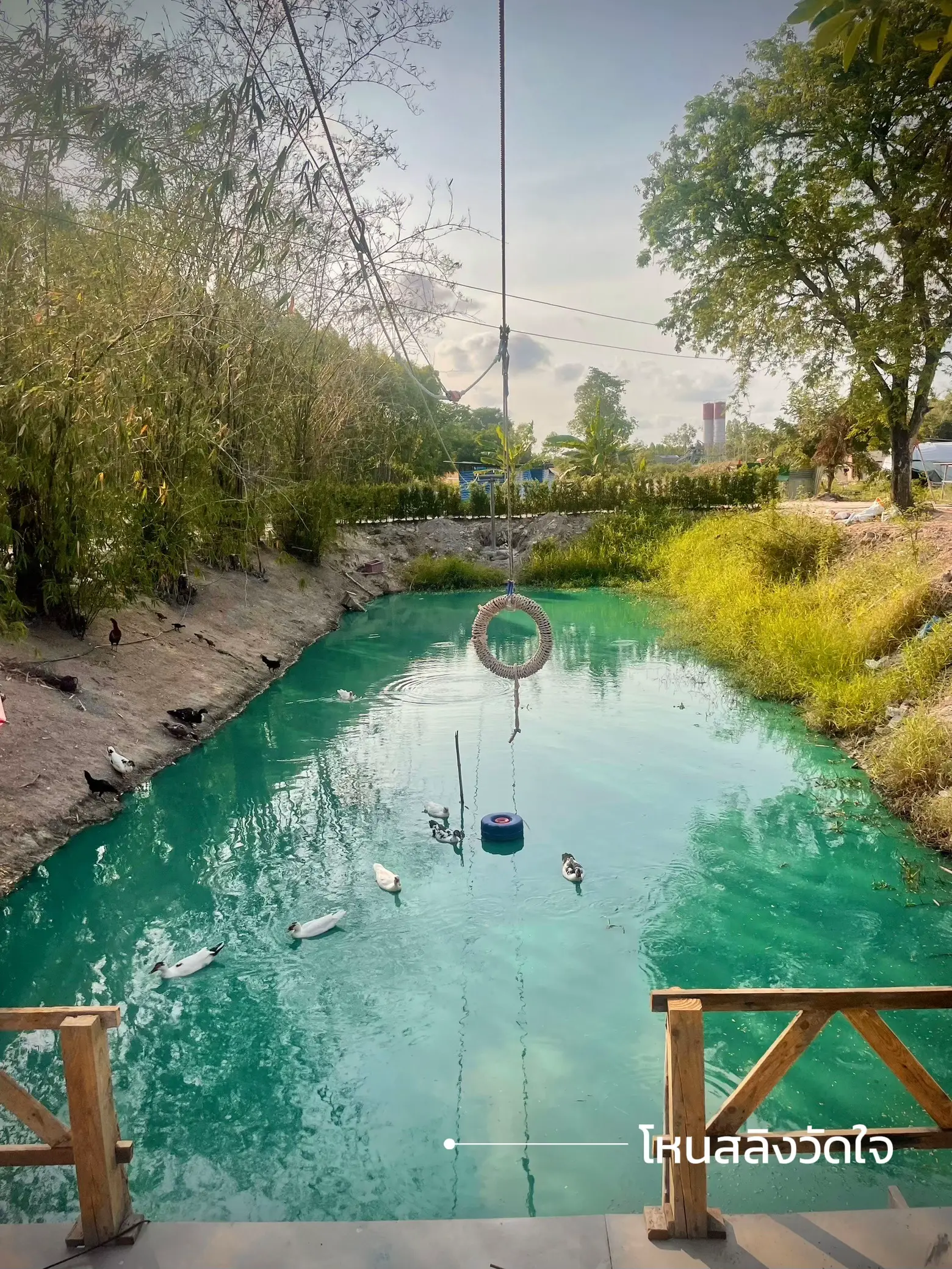 พูลวิลล่าฟีลดี เปิดใหม่ ระยอง | แกลเลอรีที่โพสต์โดย The Loft | Lemon8