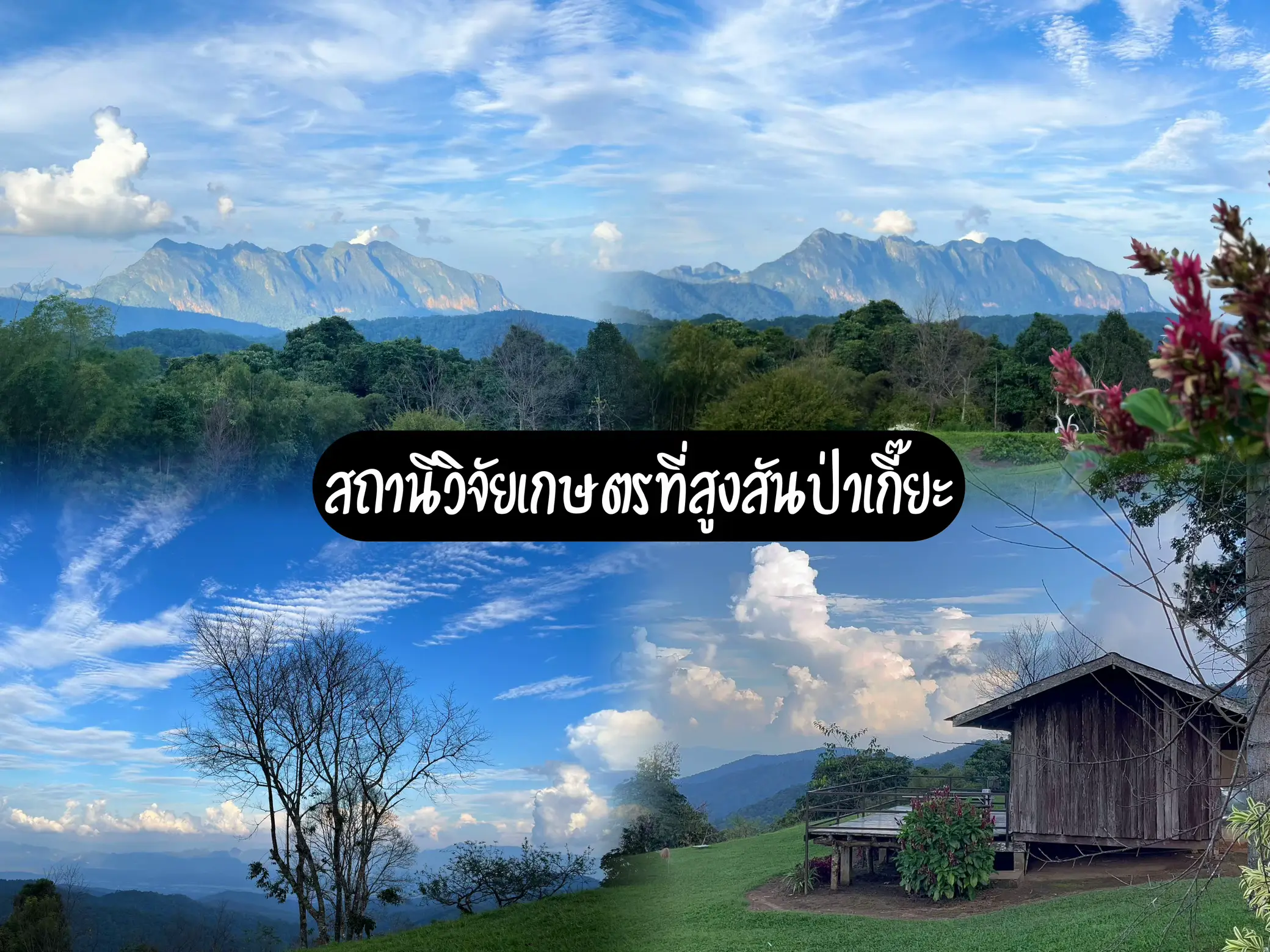 แจกแพลนเที่ยว เชียงใหม่•เชียงราย ⛰️🚗 | แกลเลอรีที่โพสต์โดย GLUAY.PING ...