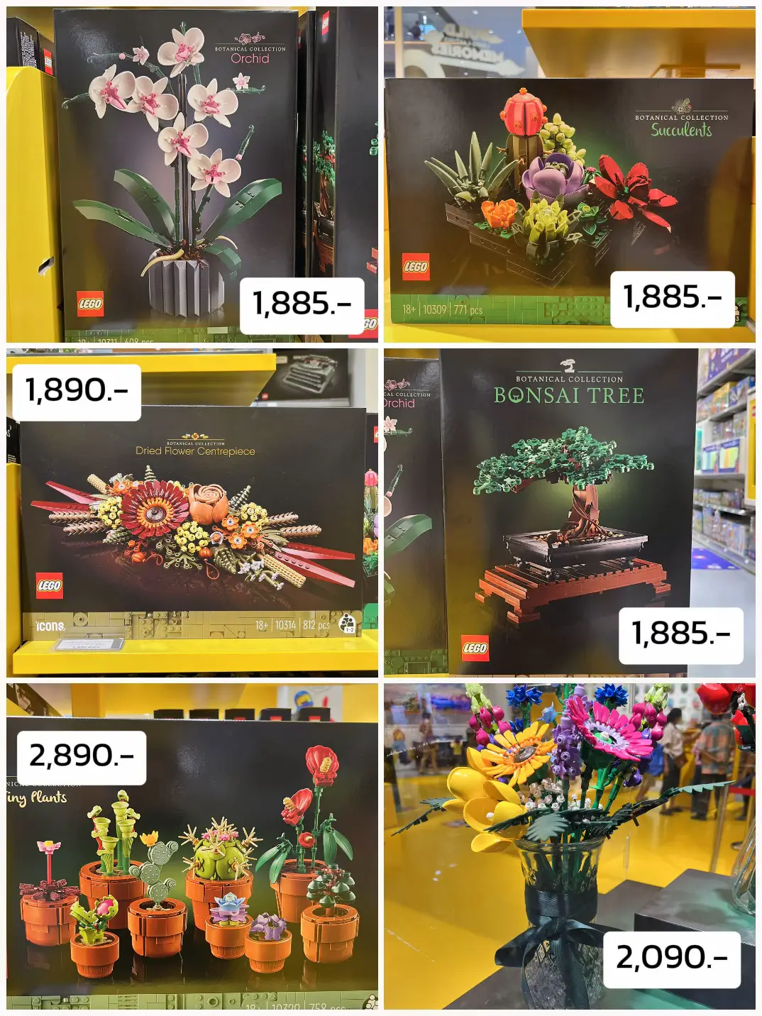 ให้กุหลาบ Lego วาเลนไทน์นี้ | แกลเลอรีที่โพสต์โดย คนกรุงไปไหนทำไร | Lemon8