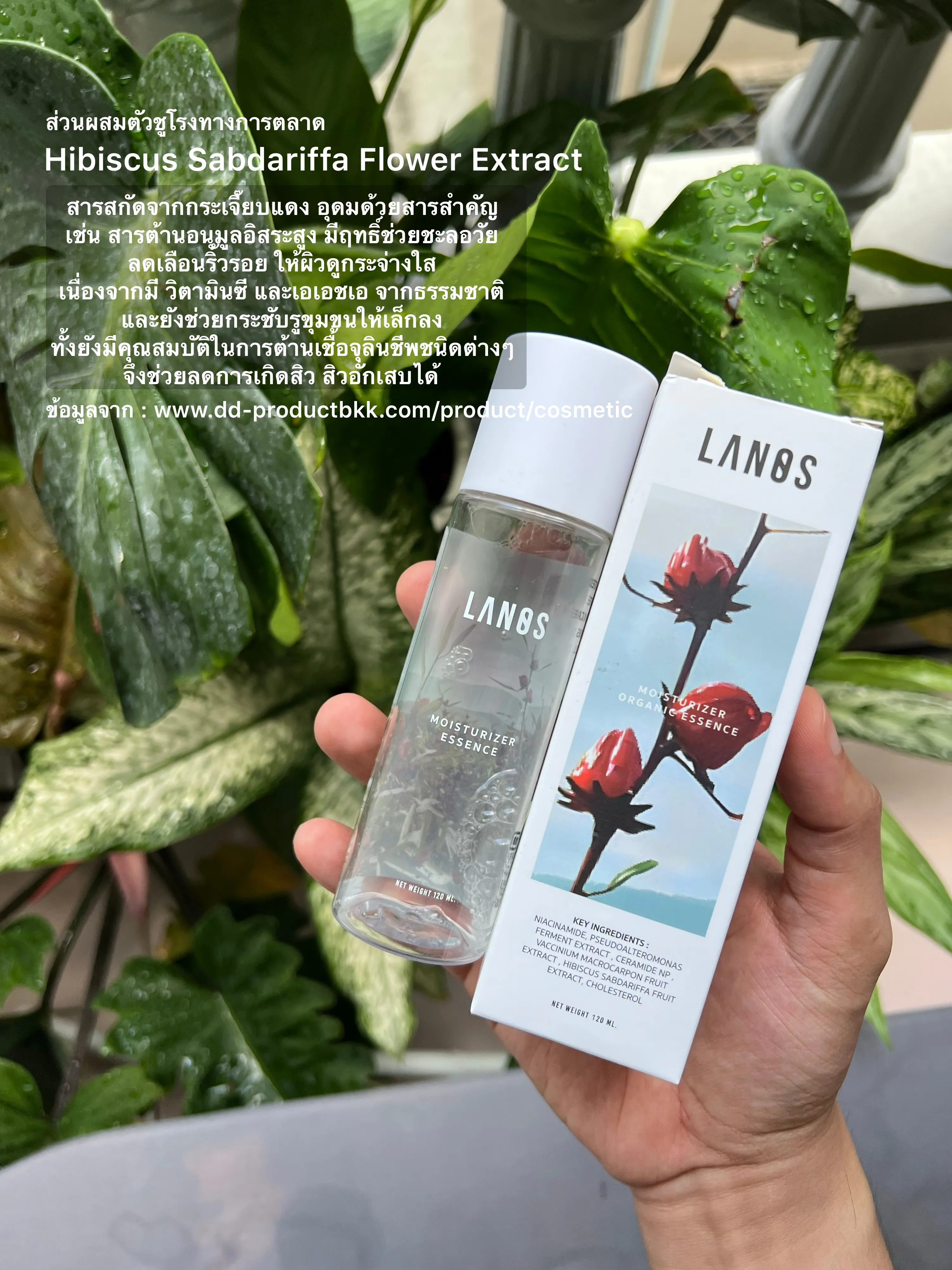LANOS : Moisturizer Essence ตามกระแสดู | แกลเลอรีที่โพสต์โดย zobi | Lemon8