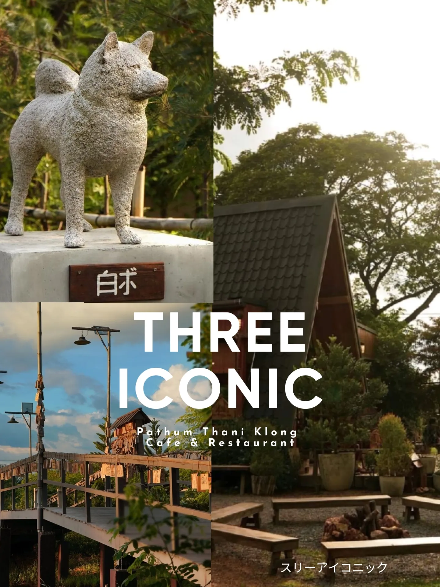 THREEICONIC | แกลเลอรีที่โพสต์โดย Three Iconic | Lemon8