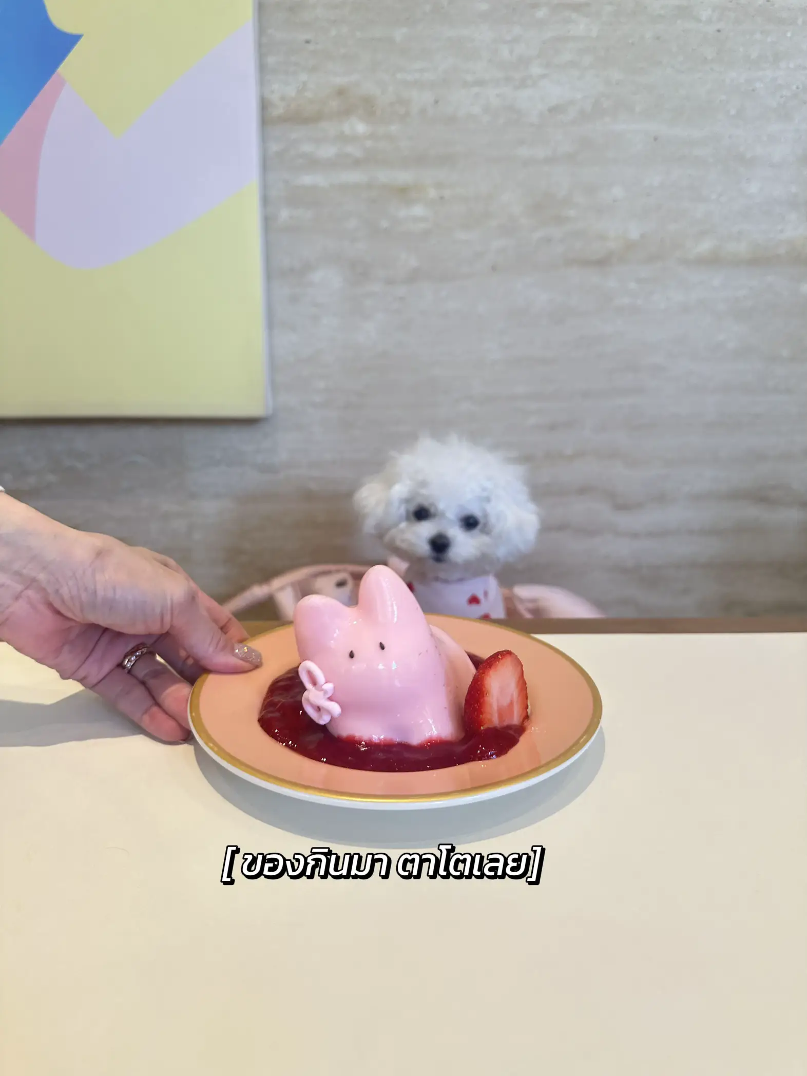 หวานนํ้าตาลมดขึ้น จับน้องหมาแต่งตัวชมพู💗 | แกลเลอรีที่โพสต์โดย หมาNami ...