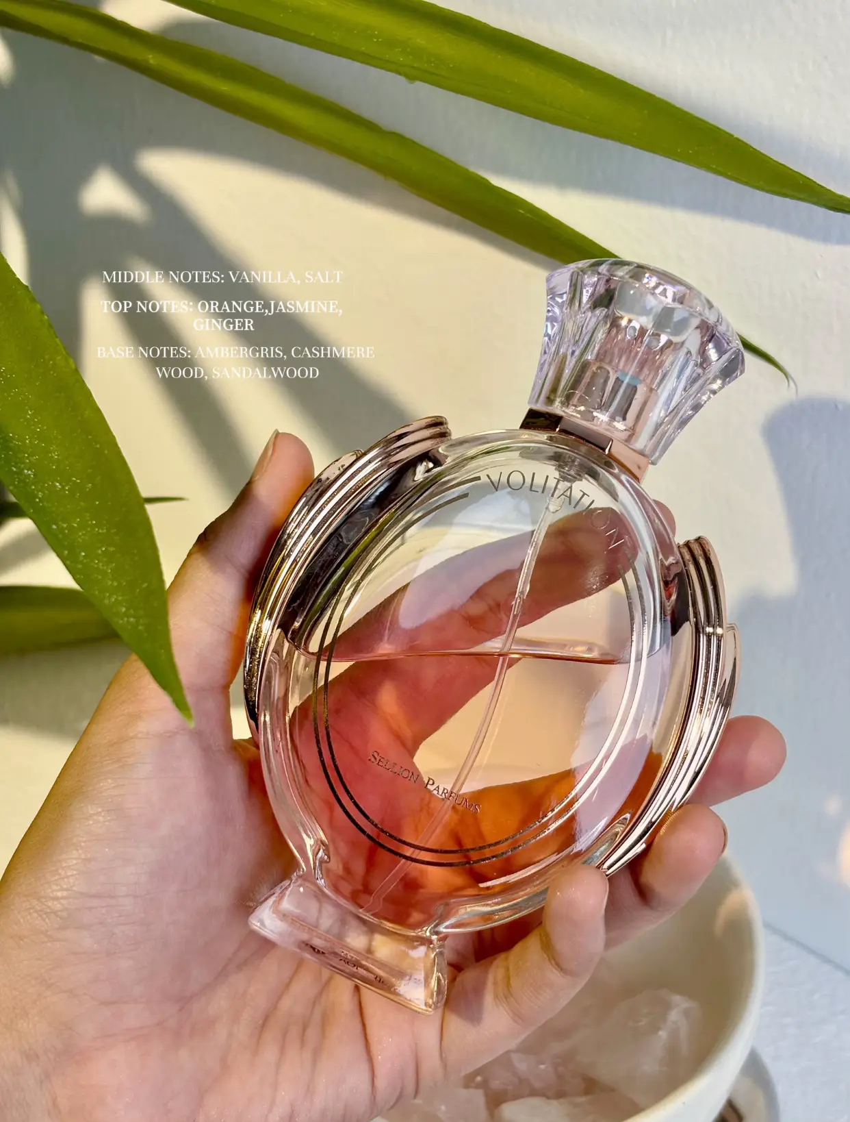 Perfect parfum yang sesuai untuk kegunaan harian💃💗 | Galeri disiarkan ...