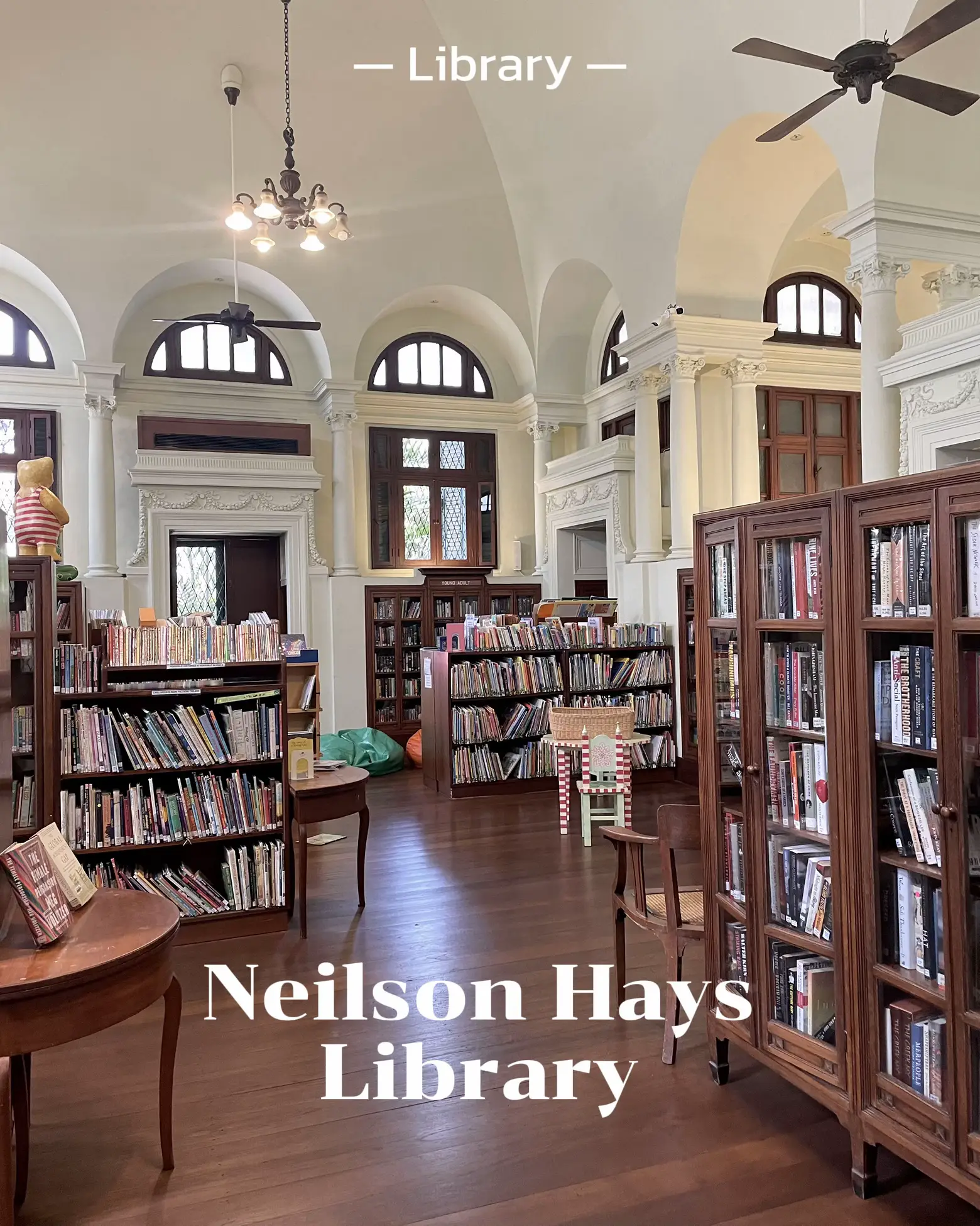 Neilson Hays Library | ห้องสมุดพักใจ 📚 | แกลเลอรีที่โพสต์โดย heart ...