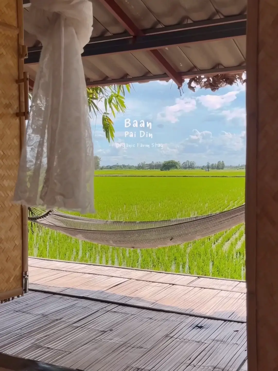 🛖โฮมสเตย์สุพรรณบุรี คนละ 650 บาท | วิดีโอที่เผยแพร่โดย TripTamJai | Lemon8