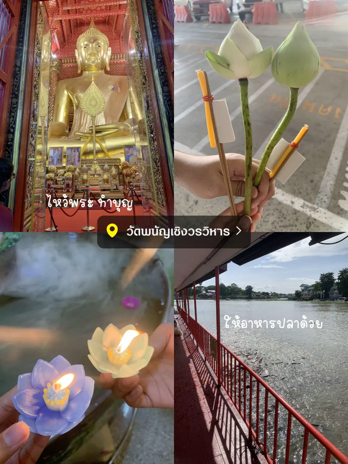 อยุธยา 1 Day Trip (ฉบับไม่มีรถส่วนตัว) | แกลเลอรีที่โพสต์โดย Kream🌷 | Lemon8