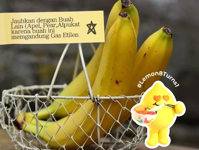 20 ide Jenis Pisang Apa Yg Bisa Di Buat Jus teratas di 2024