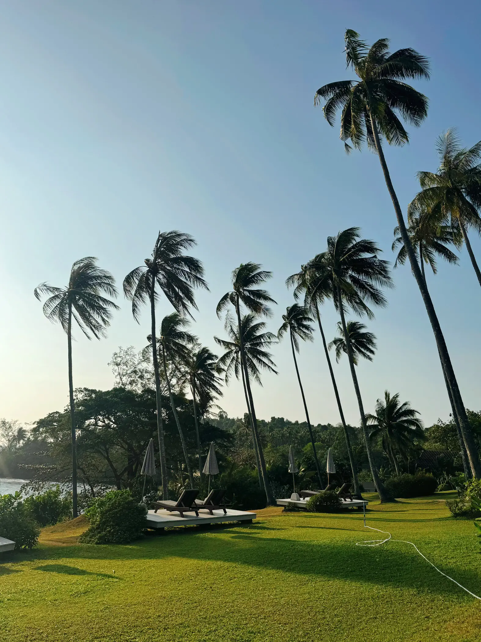 กระทิ คาเฟ่ Gathi Cafe | แกลเลอรีที่โพสต์โดย Nest way | Lemon8