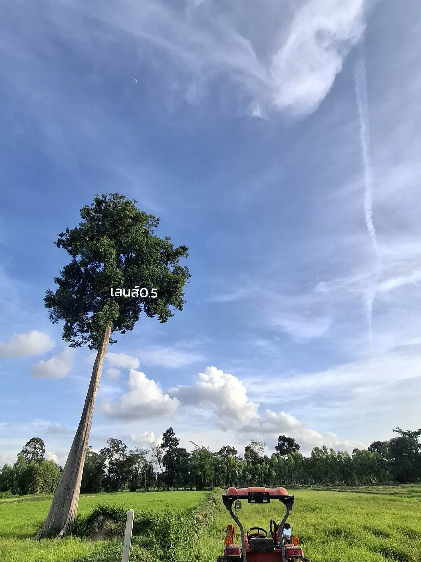 Samsung A55 5G | Gallery posted by rapee🌟 | Lemon8