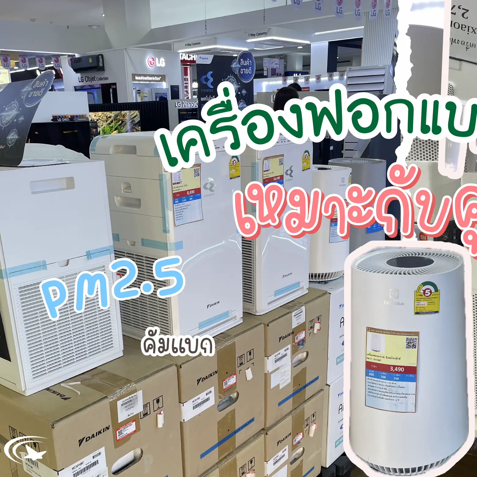 PM2.5 คัมแบก แล้วจ้าาา 🥹 | แกลเลอรีที่โพสต์โดย สหพานิช | Lemon8