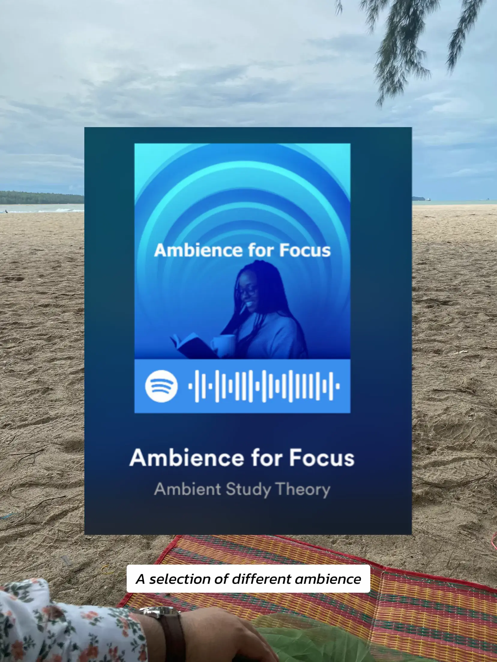 Study Focus Playlist on Spotify || Ambient Edition | แกลเลอรีที่โพสต์ ...