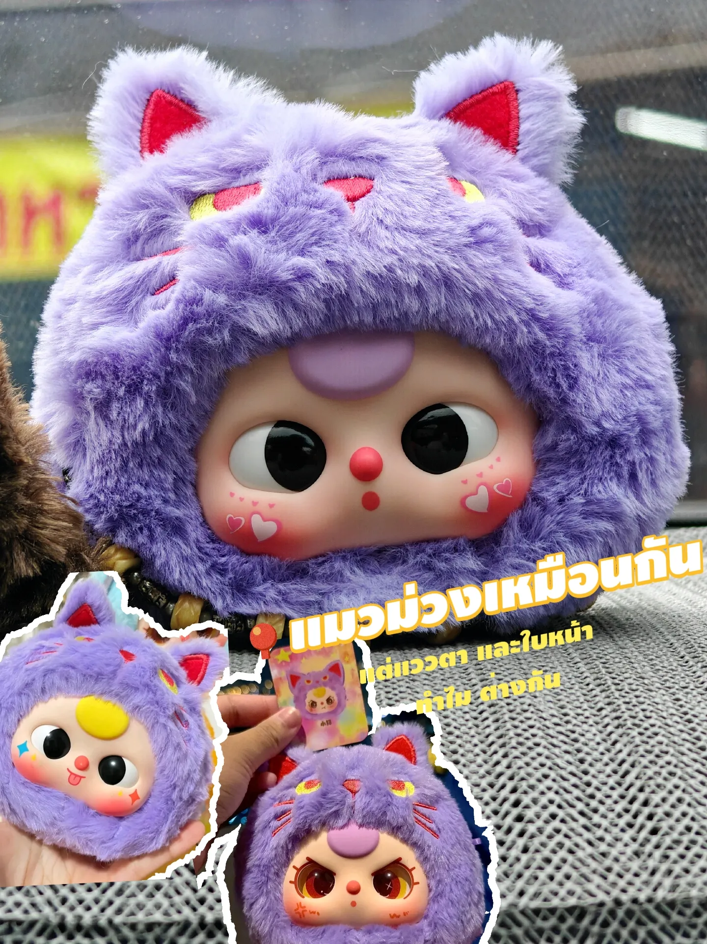 Baby Tree จุ่ม kitten แต่หน้าตาต่างจากเพื่อนนะ? | แกลเลอรีที่โพสต์โดย ...