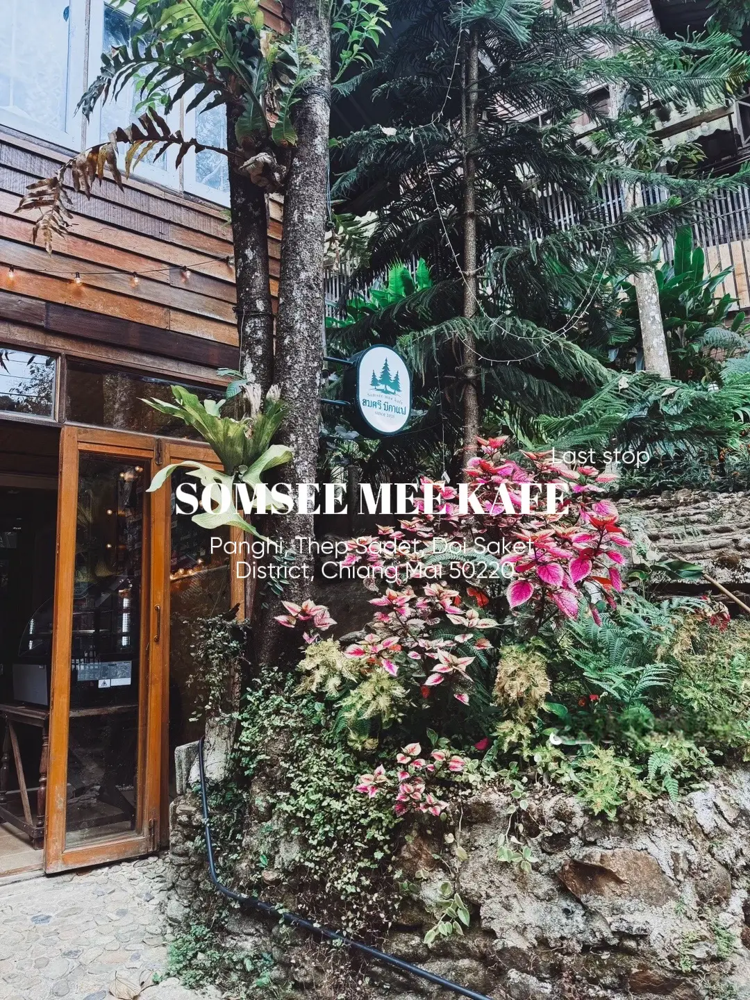 ถนนสายคาเฟ่ ดอยสะเก็ด-ปางไฮ เชียงใหม่ | แกลเลอรีที่โพสต์โดย Dear ...