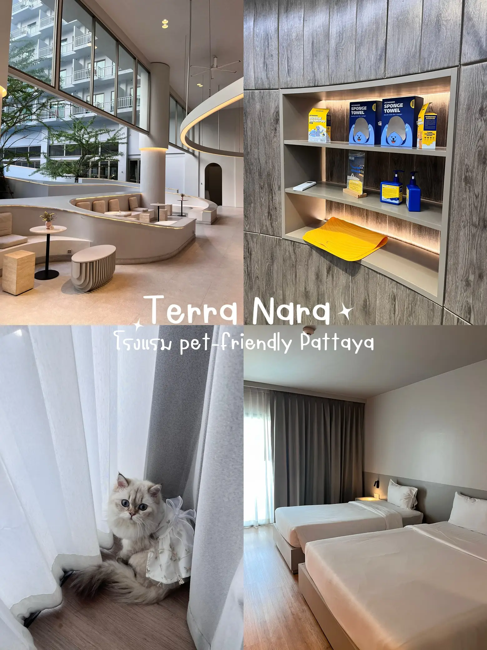 Terra Nara - Pet friendly hotel pattaya 🐶🌊 | แกลเลอรีที่โพสต์โดย Minolta ♡︎ | Lemon8
