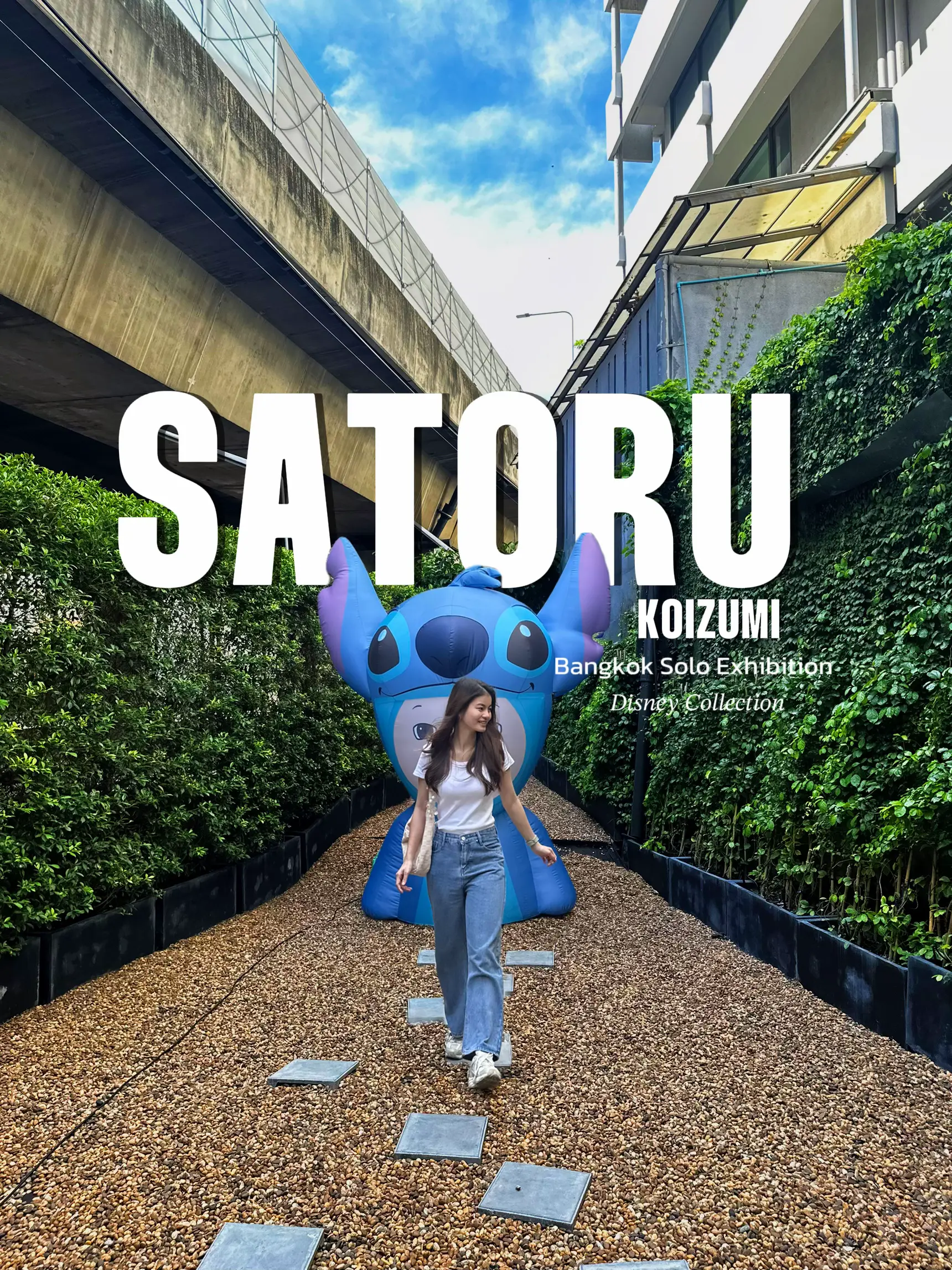 SATORU KOIZUMI นิทรรศการหุ่นไม้ Disney | แกลเลอรีที่โพสต์โดย eArTh 🐽 | Lemon8