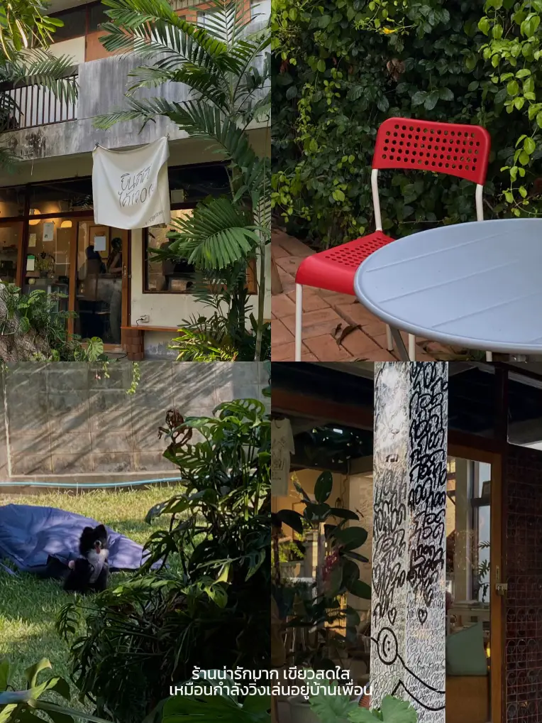 To chare คาเฟ่ที่เหมือนอยู่บ้านเพื่อน 🏠🌳 | แกลเลอรีที่โพสต์โดย 2kging ...