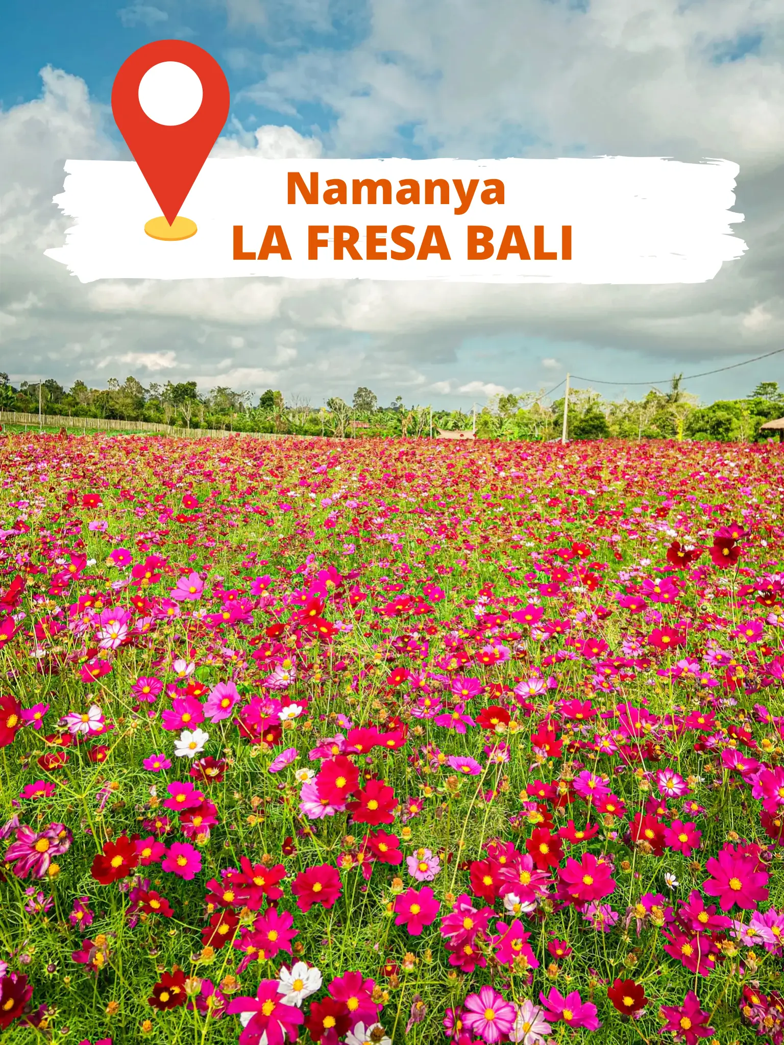 Rekomendasi Taman Bunga di Kintamani Bali 🌺🌼🌷 | Galeri diposting oleh ...