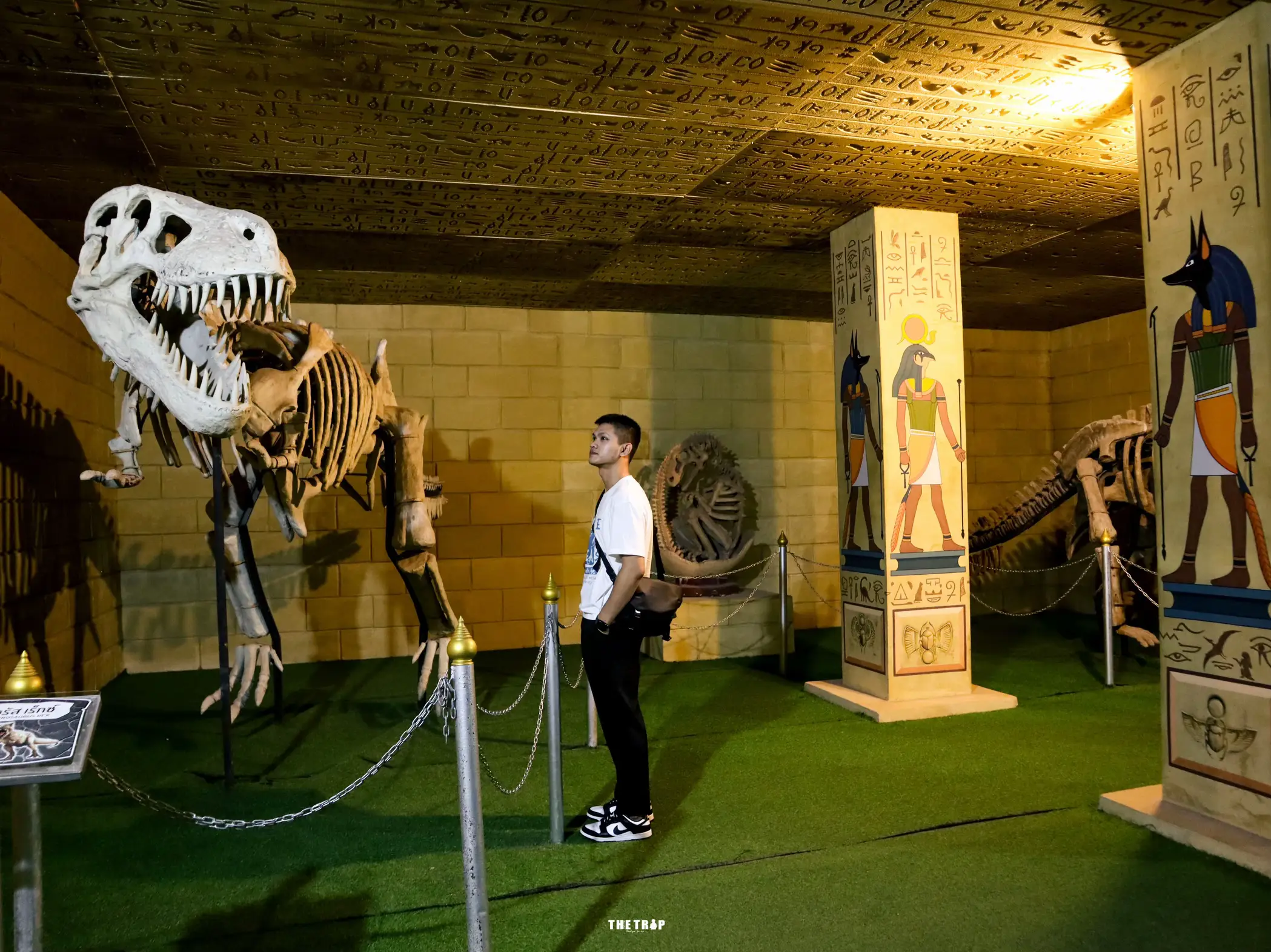 Amazing Dinosaur เข้าค้อ | แกลเลอรีที่โพสต์โดย เสือพาเที่ยว | Lemon8