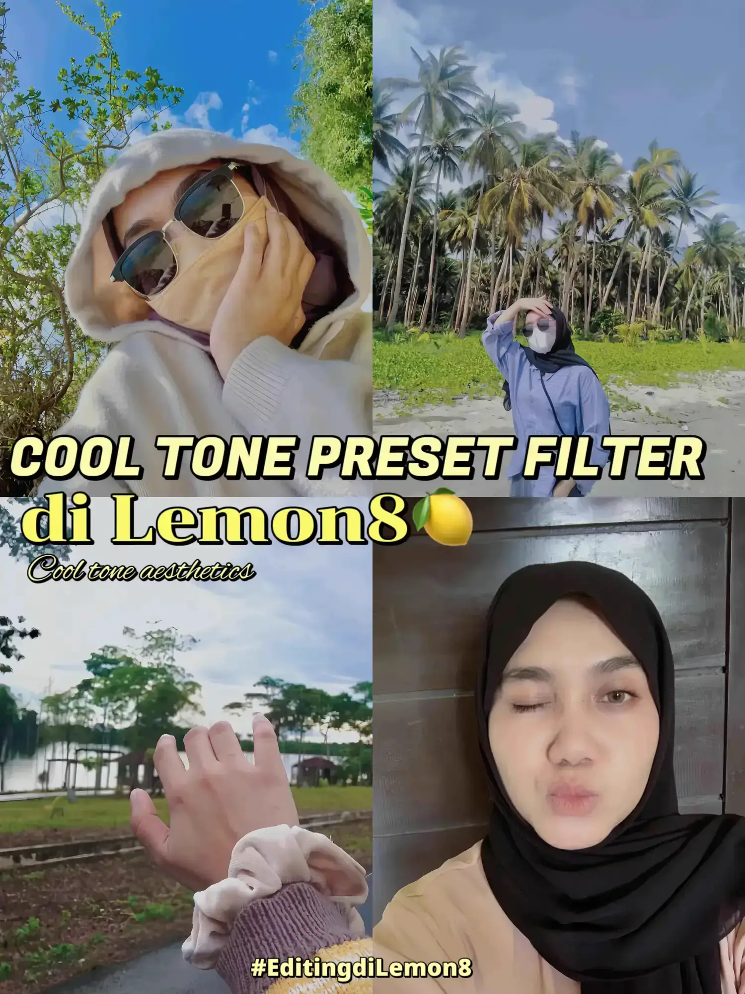 Tutorial Preset Cool Tone di Lemon8 | Galeri diposting oleh 𝒩𝒾𝓇 | Lemon8