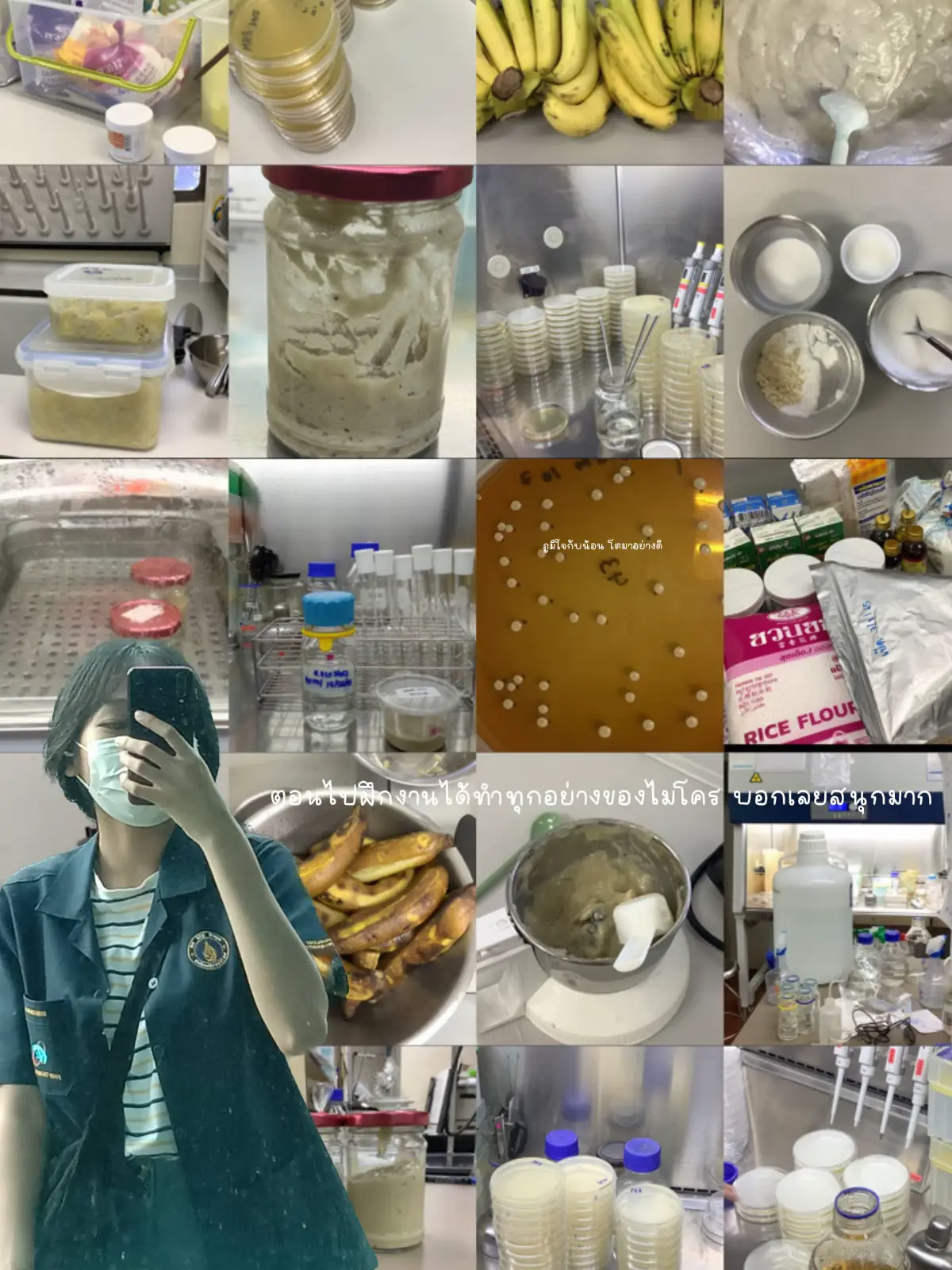 แชร์ประสบการณ์เรียนปริญญาตรี 2 ใบ | แกลเลอรีที่โพสต์โดย nunid 🫧 | Lemon8