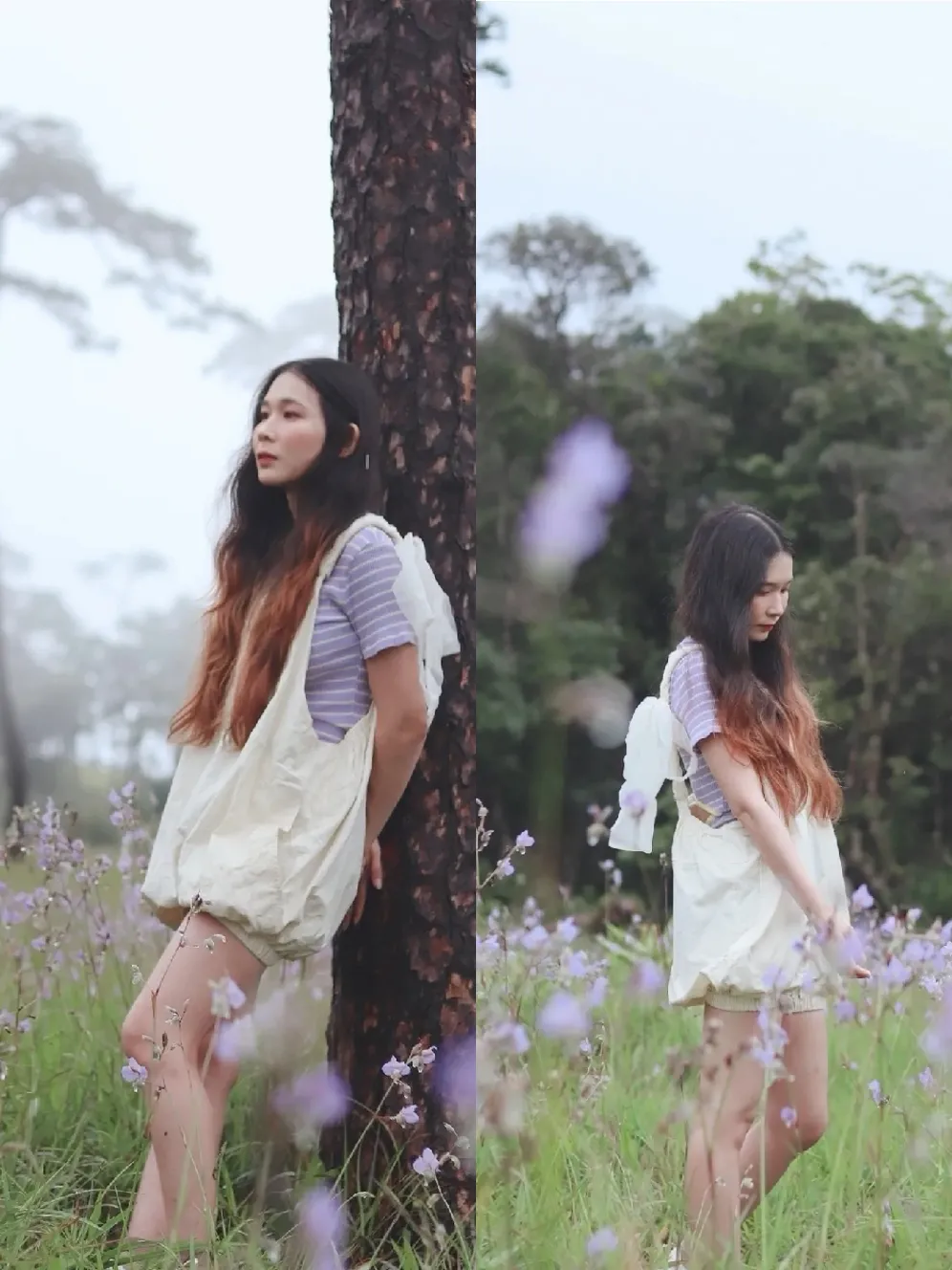 ภูสอยดาว (PHU SOI DAO) | เดินป่าหน้าฝน | แกลเลอรีที่โพสต์โดย Usa.Mali | Lemon8