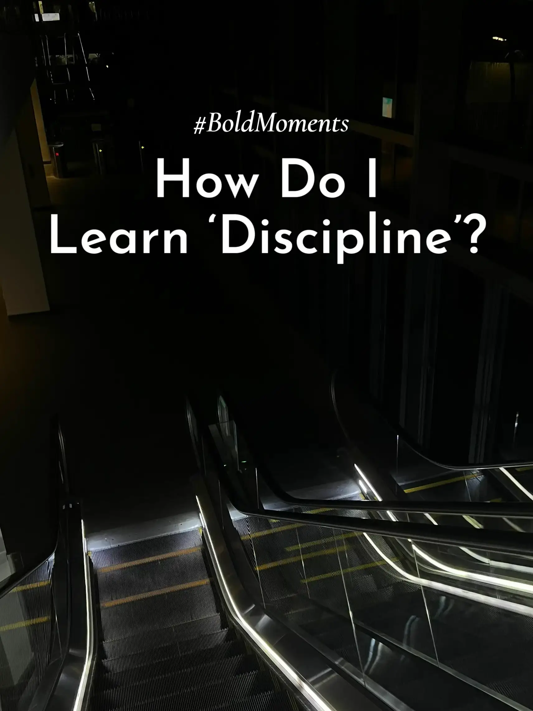 how do I learn ‘adult discipline’? | Gallery posted by stitchhui | Lemon8