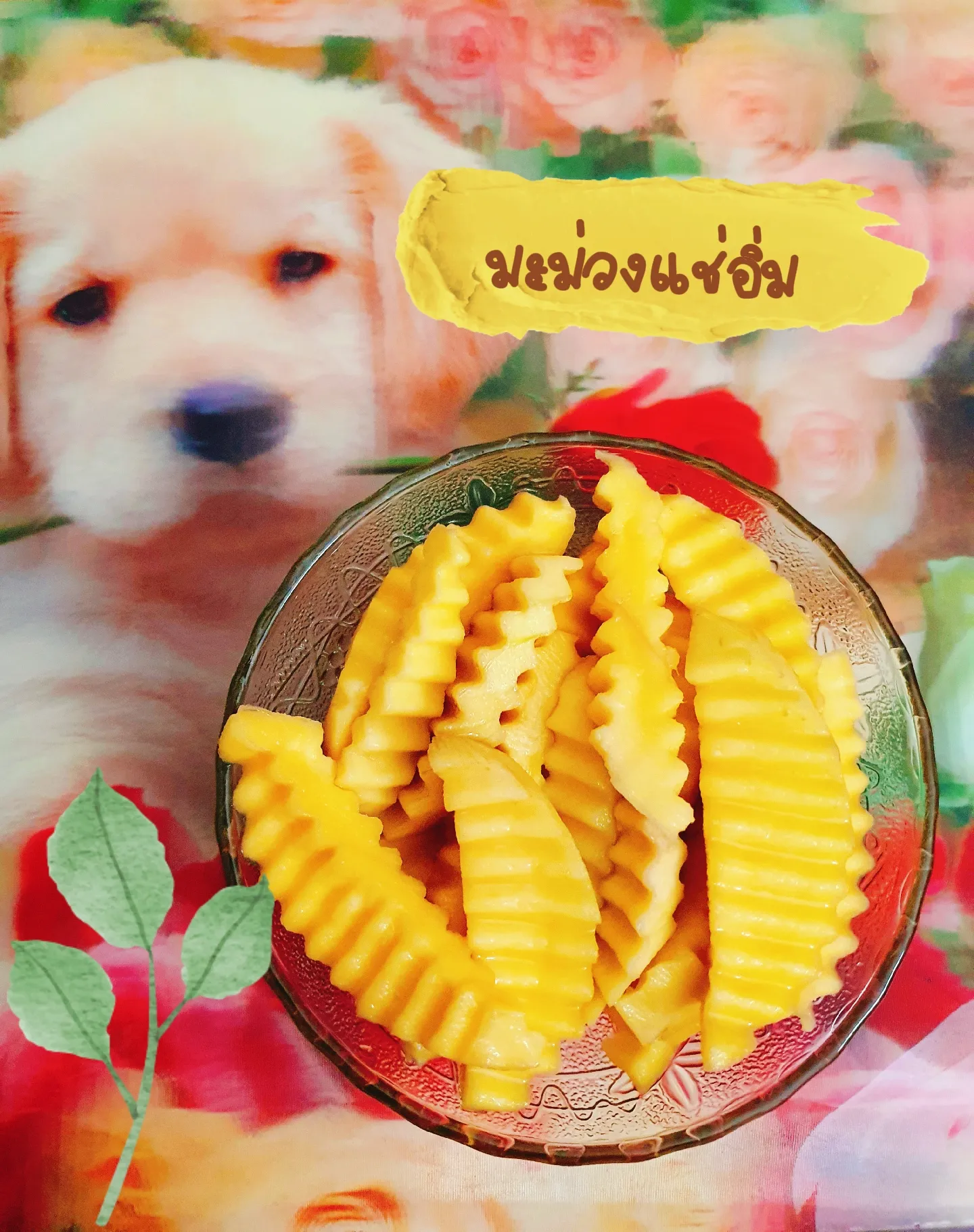 มะม่วงแช่อิ่ม | แกลเลอรีที่โพสต์โดย Nutim | Lemon8