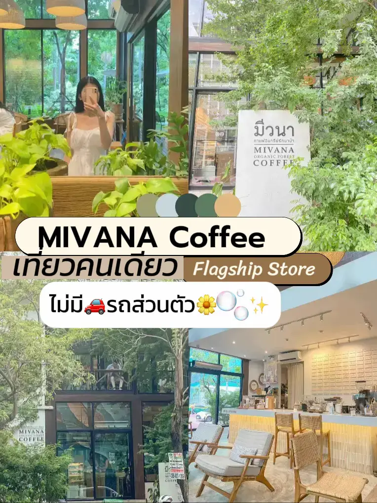 MiVana Coffee Flagship Store เที่ยวคนเดียวไม่มีรถส่วนตั | แกลเลอรีที่ ...