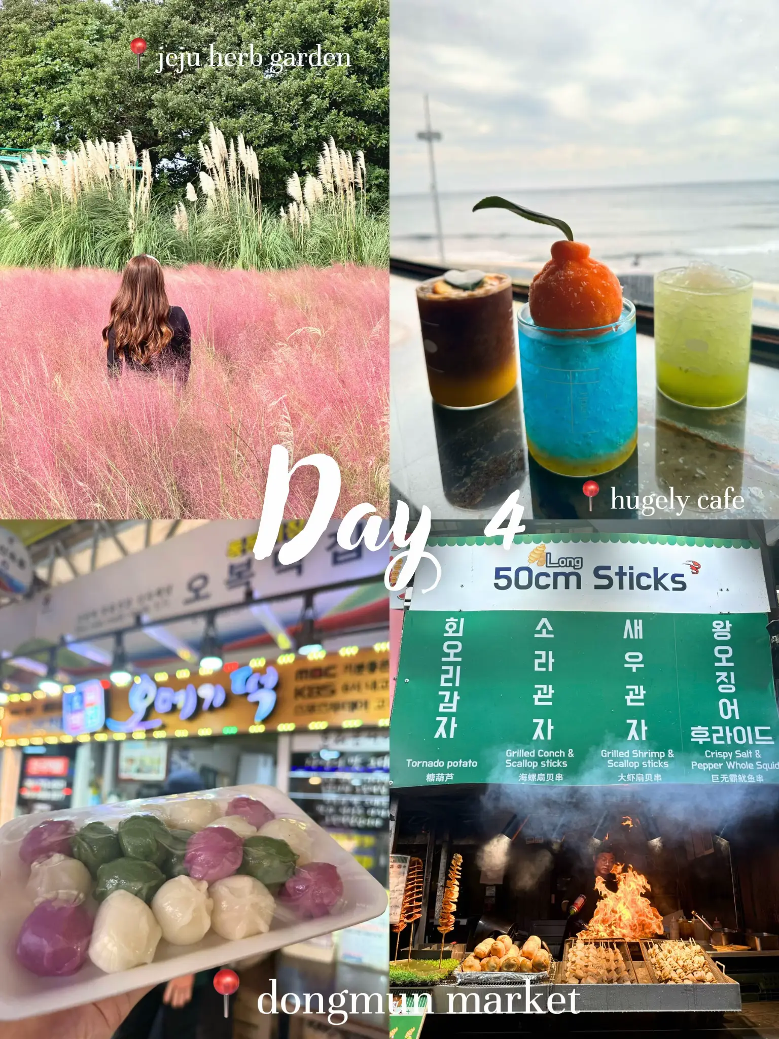 my ultimate 4D3N JEJU itinerary 🌻 | no self-drive | Gallery posted by ...