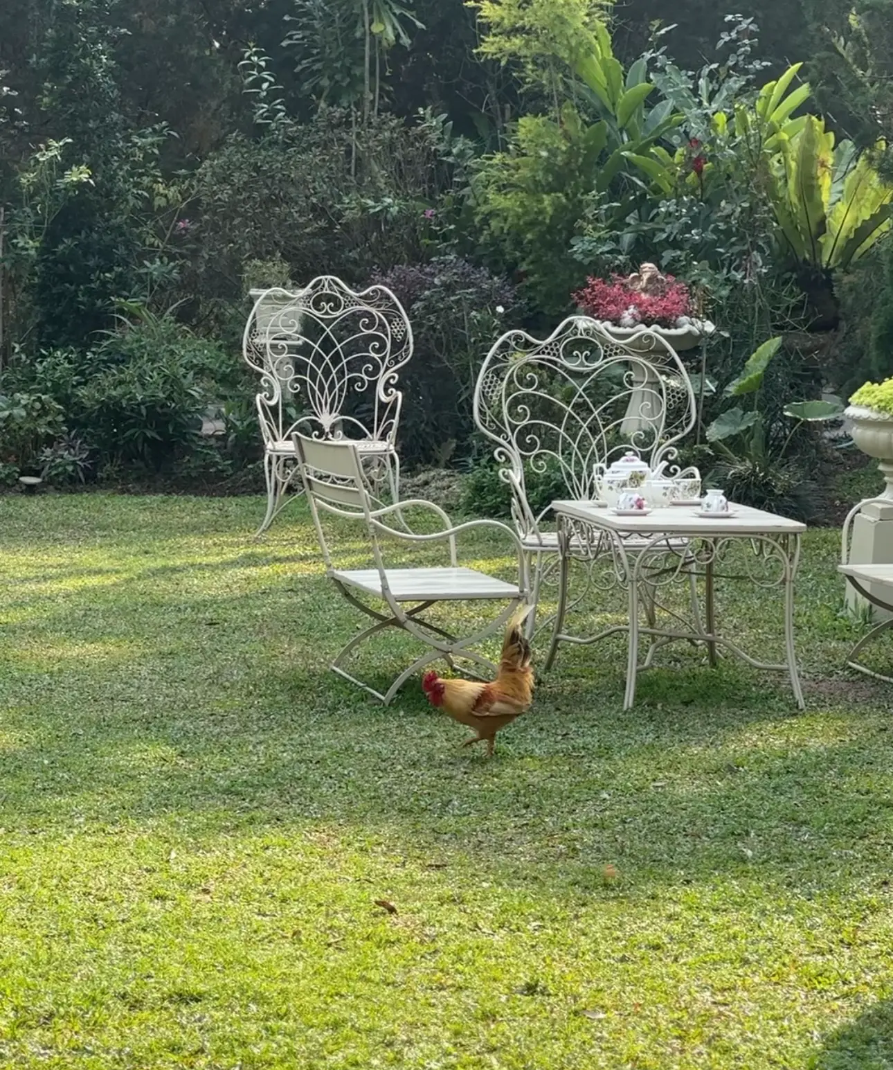 Canary Farm Cafe & Restaurant | แกลเลอรีที่โพสต์โดย กาต้มน้ำการ์ตูน ...