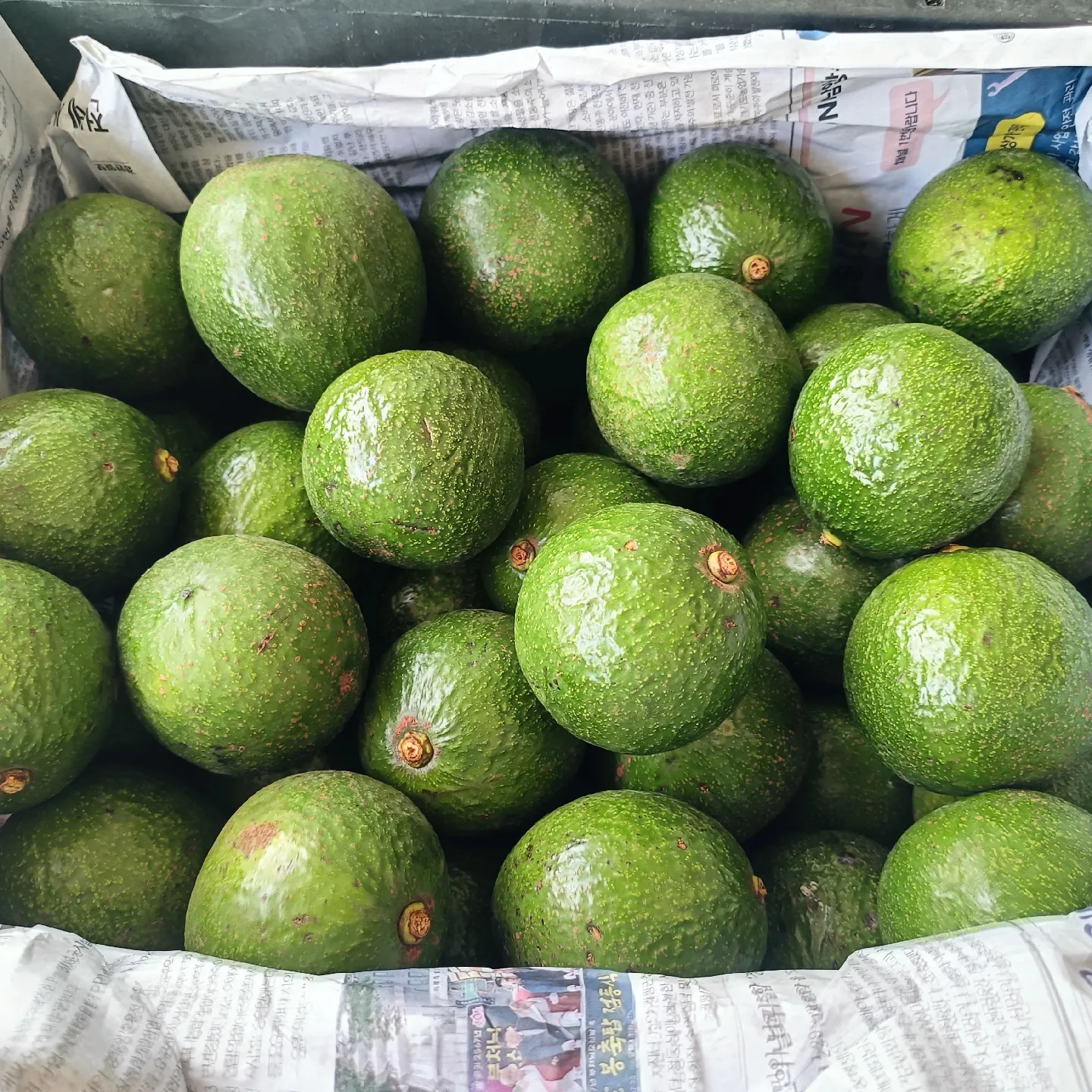 อะโวคาโดนมสด | แกลเลอรีที่โพสต์โดย Mamee Aimaem ️ | Lemon8