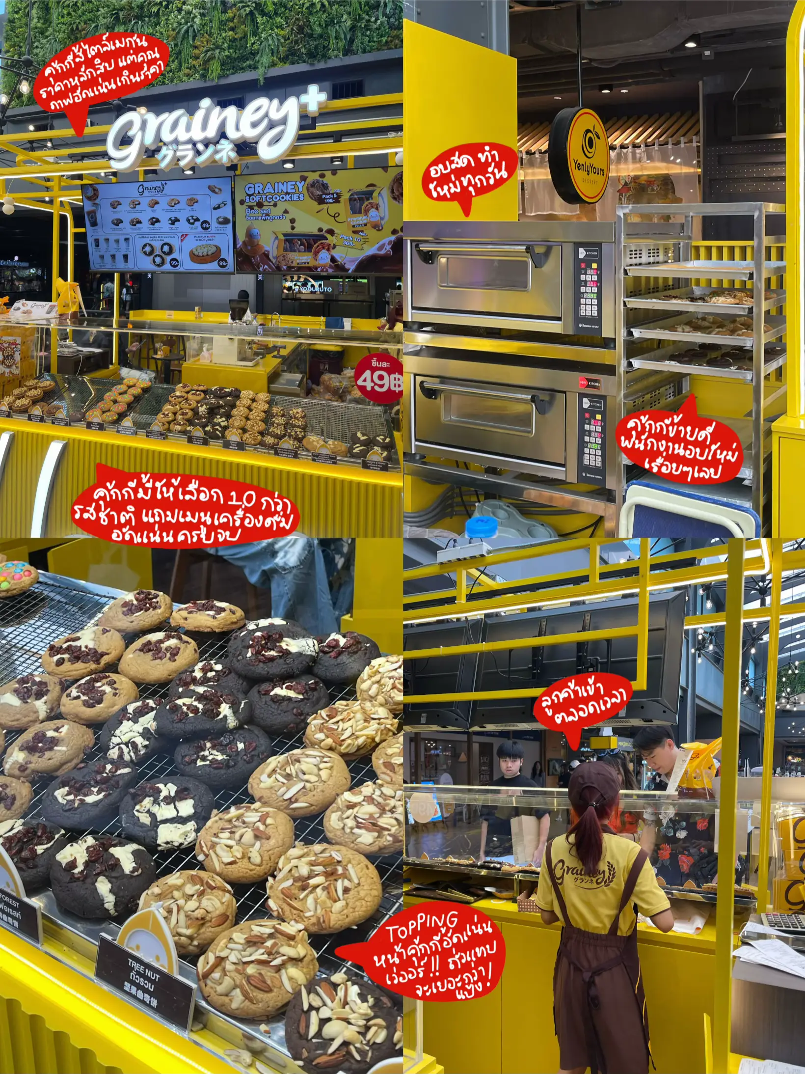 Grainey🍪 ซอฟต์คุกกี้ หน้าแน่น เจ้าดังบุกสยาม | แกลเลอรีที่โพสต์โดย np ...