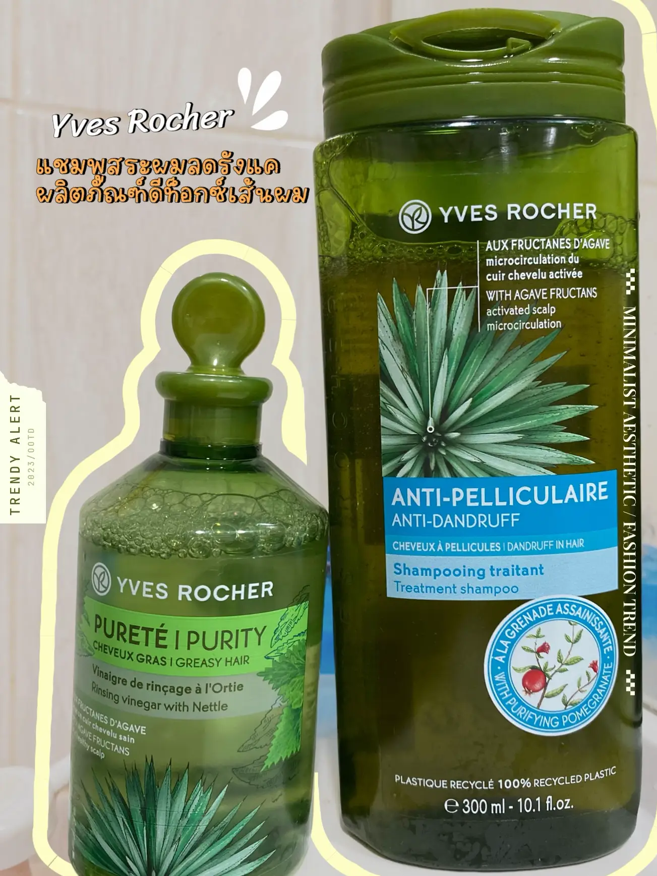 Yves Rocher แชมพูลดรังแค | แกลเลอรีที่โพสต์โดย Pompammmm☀️ | Lemon8