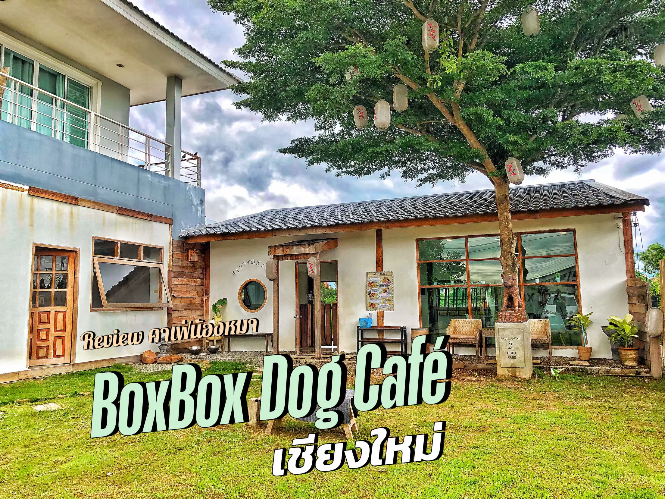 Review คาเฟ่น้องหมา เชียงใหม่ จ้าวว | แกลเลอรีที่โพสต์โดย Page :SlowPhoto | Lemon8