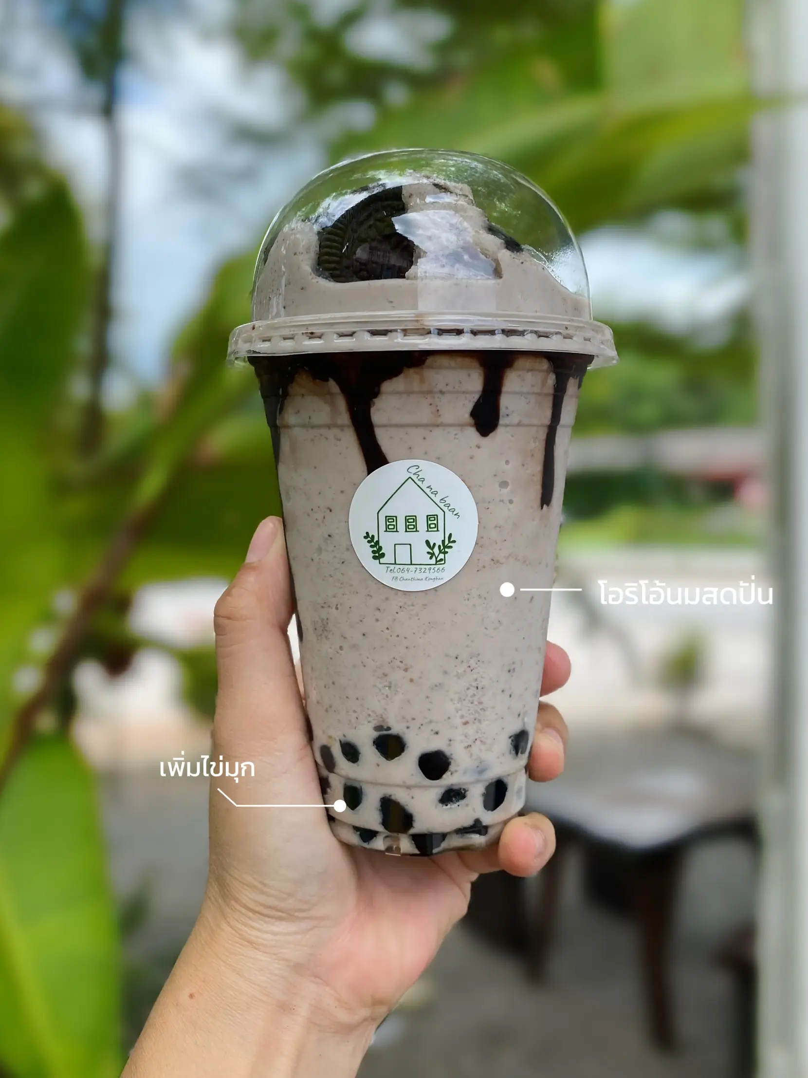 ชาเขียวมะพร้าวนมสดปั่น | แกลเลอรีที่โพสต์โดย Chanthima Kongb | Lemon8