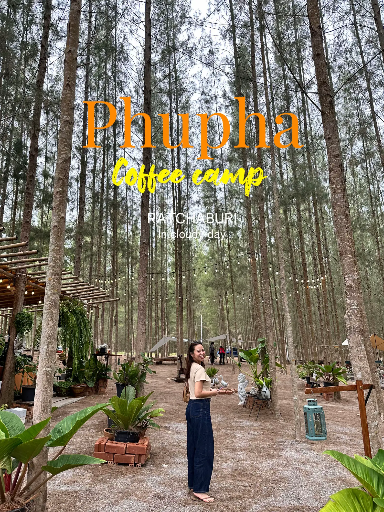 คาเฟ่ป่าสนราชบุรี ฟีลกู้ดมากก🌲 | แกลเลอรีที่โพสต์โดย ฟินไปไหน | Lemon8