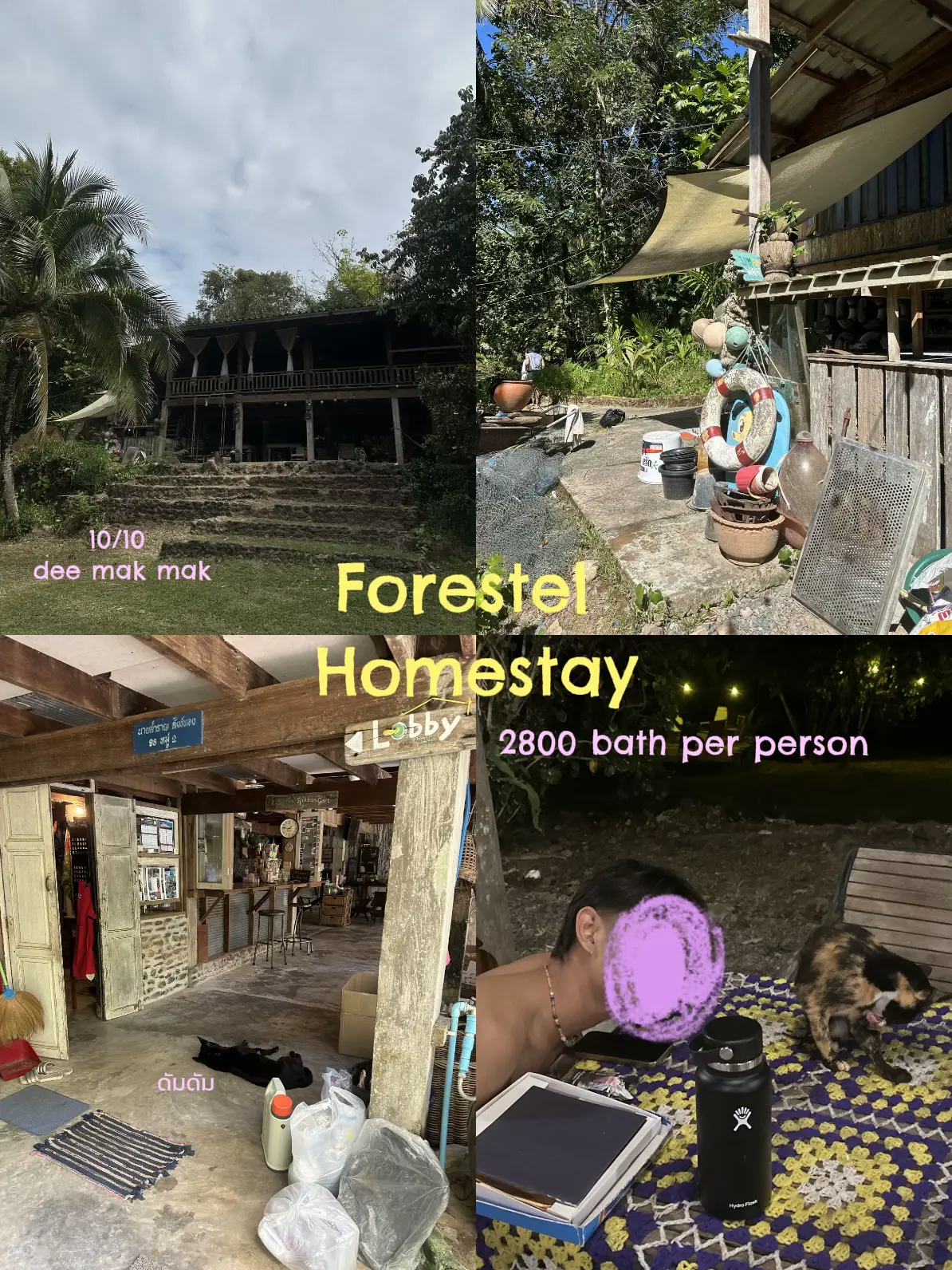 3 days 2 nights at Koh Kood งบหกพันบาท | แกลเลอรีที่โพสต์โดย dd | Lemon8