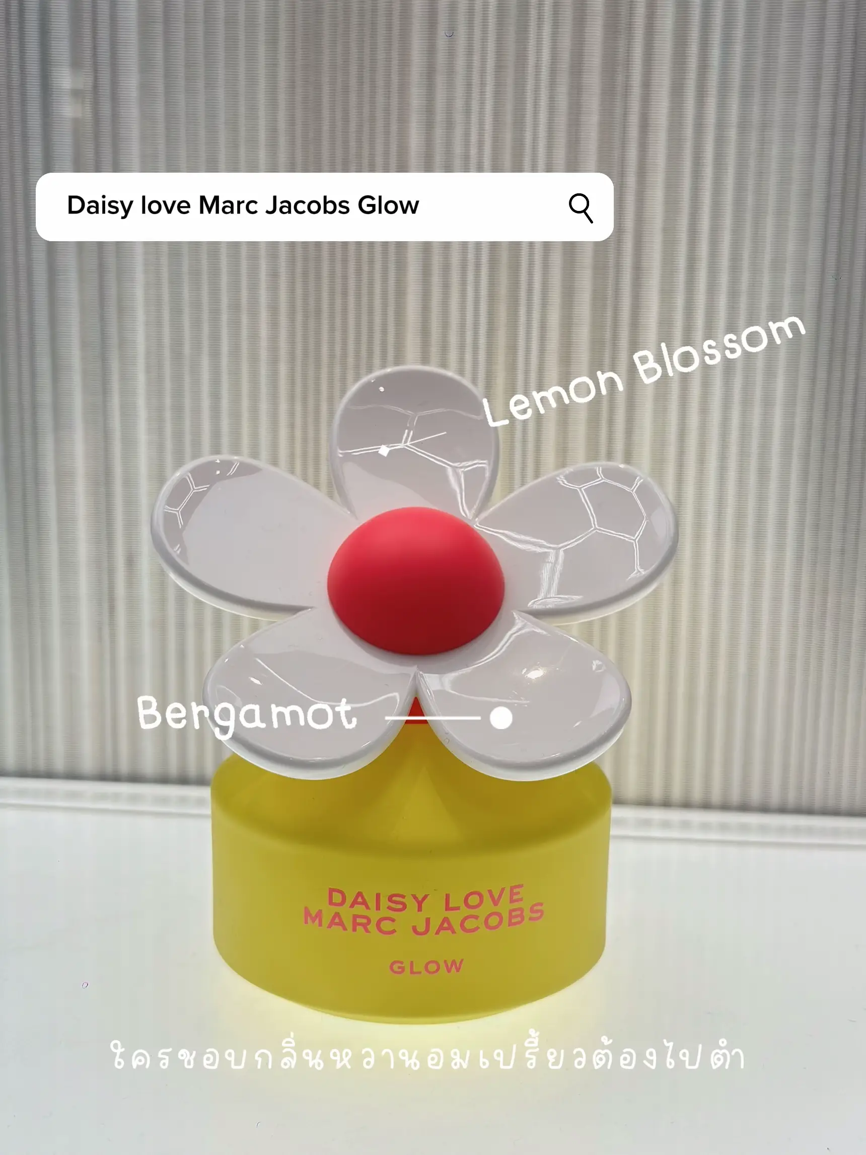 HELLO DAISY เดซี่เดใจจจ 🌸 | แกลเลอรีที่โพสต์โดย ลล.มีจุด | Lemon8
