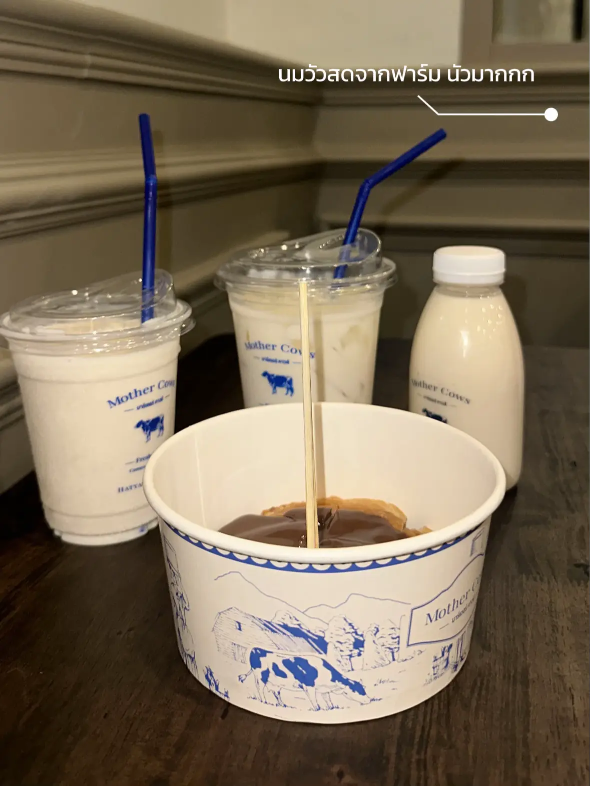 Mother Cows บรรทัดทอง🐄 | แกลเลอรีที่โพสต์โดย UNUN | Lemon8