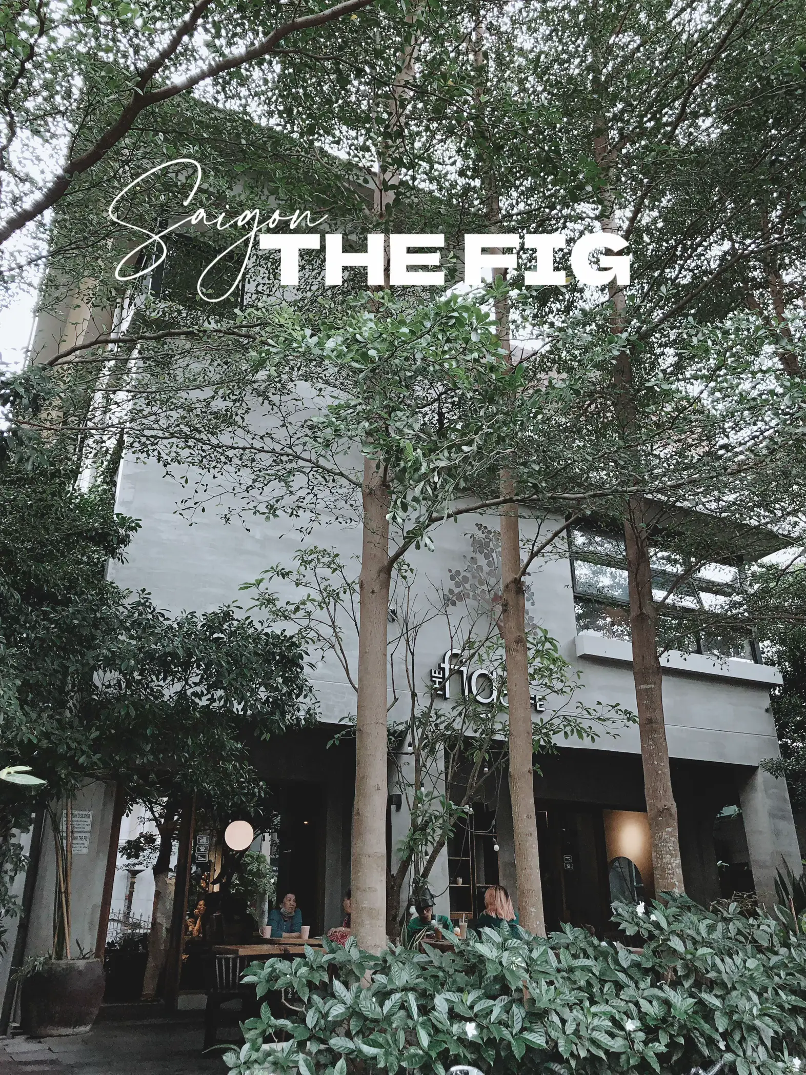 THE FIG CAFE | SAIGON | Bộ sưu tập do Nga La Cà đăng | Lemon8