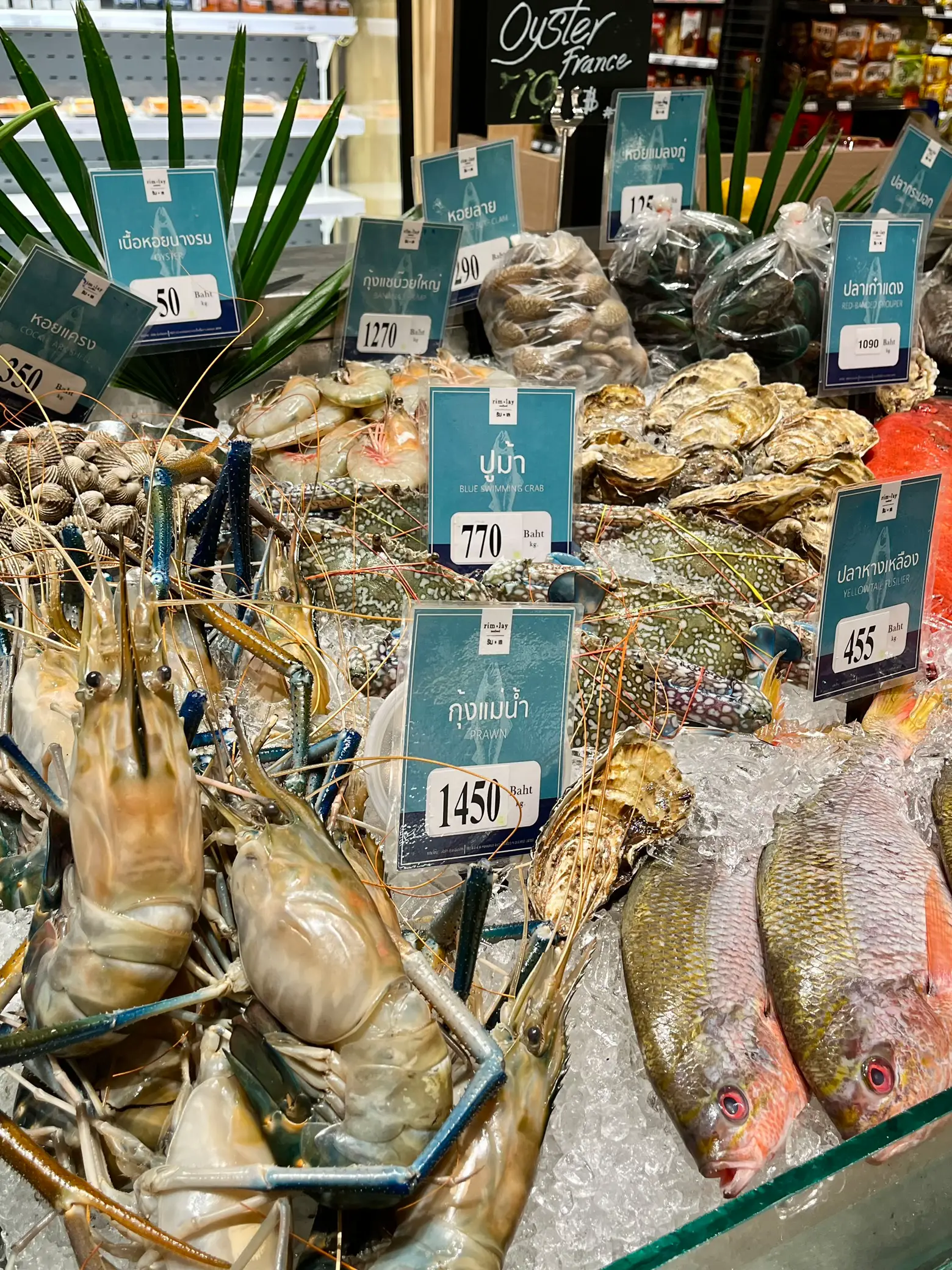 ส่องริมปิงสาขาใหม่กัน🛒 | แกลเลอรีที่โพสต์โดย hz_llii | Lemon8