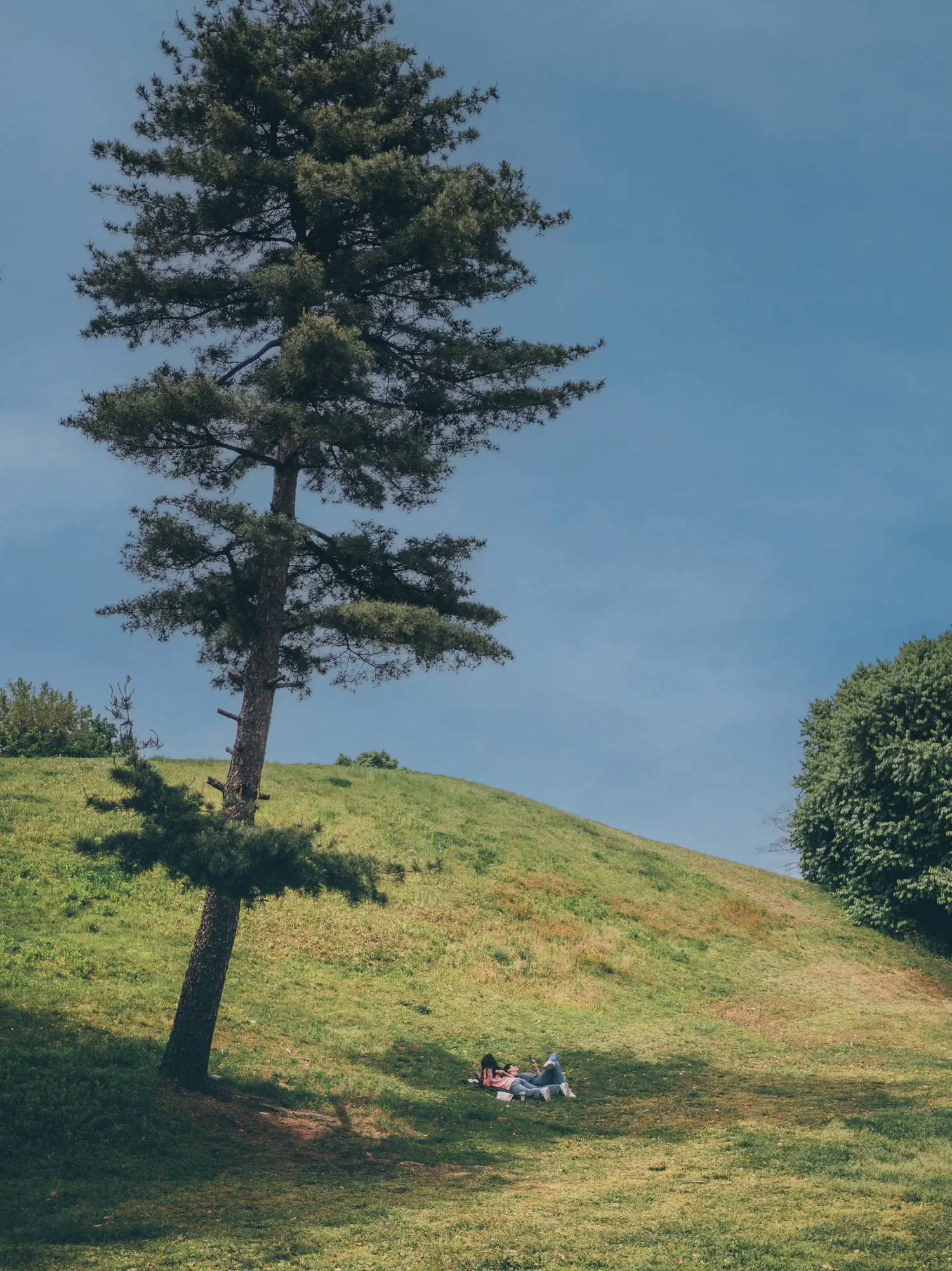 ALONE TREE 🌳 x OLYMPIC PARK Seoul | Gallery posted by Whenwewander | Lemon8