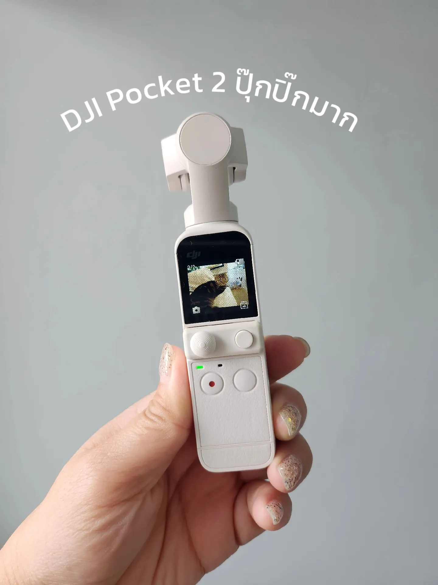 สายคอนเท้น📸เลือก DJI Pocket 2 หรือ Insta360 Go3 ดี | แกลเลอรีที่โพสต์ ...