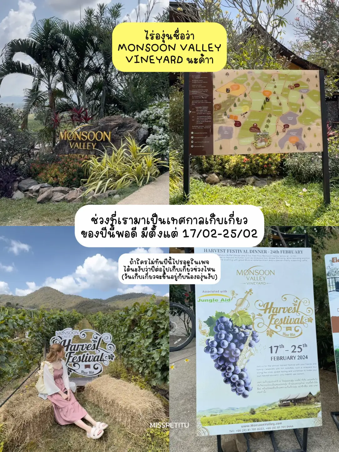 🍒FRUIT WINE 🍷 | แกลเลอรีที่โพสต์โดย Cupcake | Lemon8