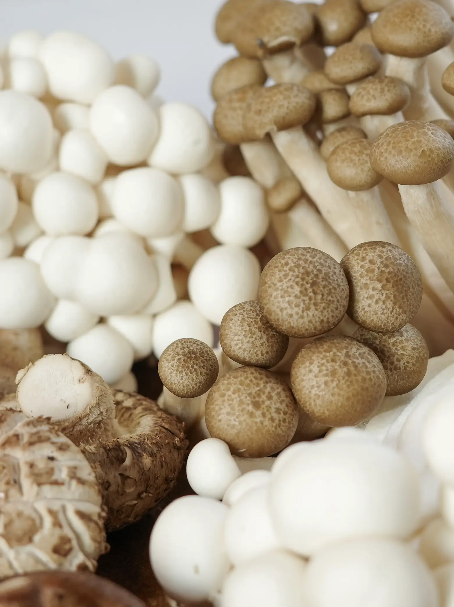 GRlllx …📸 | แกลเลอรีที่โพสต์โดย Lilith_* | Lemon8