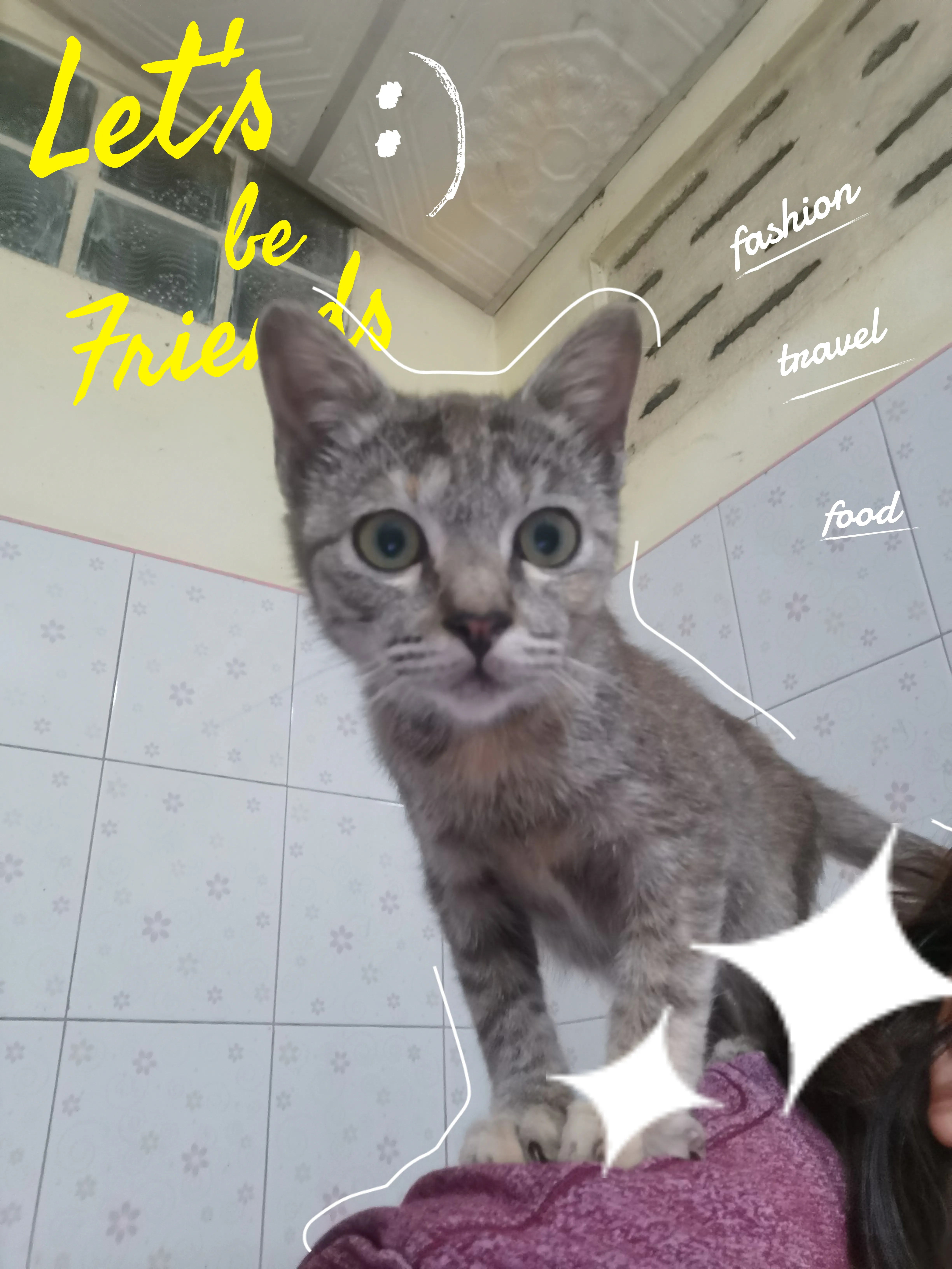 เจ้า(รับทรัพย์ )ตัวแสบ | แกลเลอรีที่โพสต์โดย Mod Dw | Lemon8